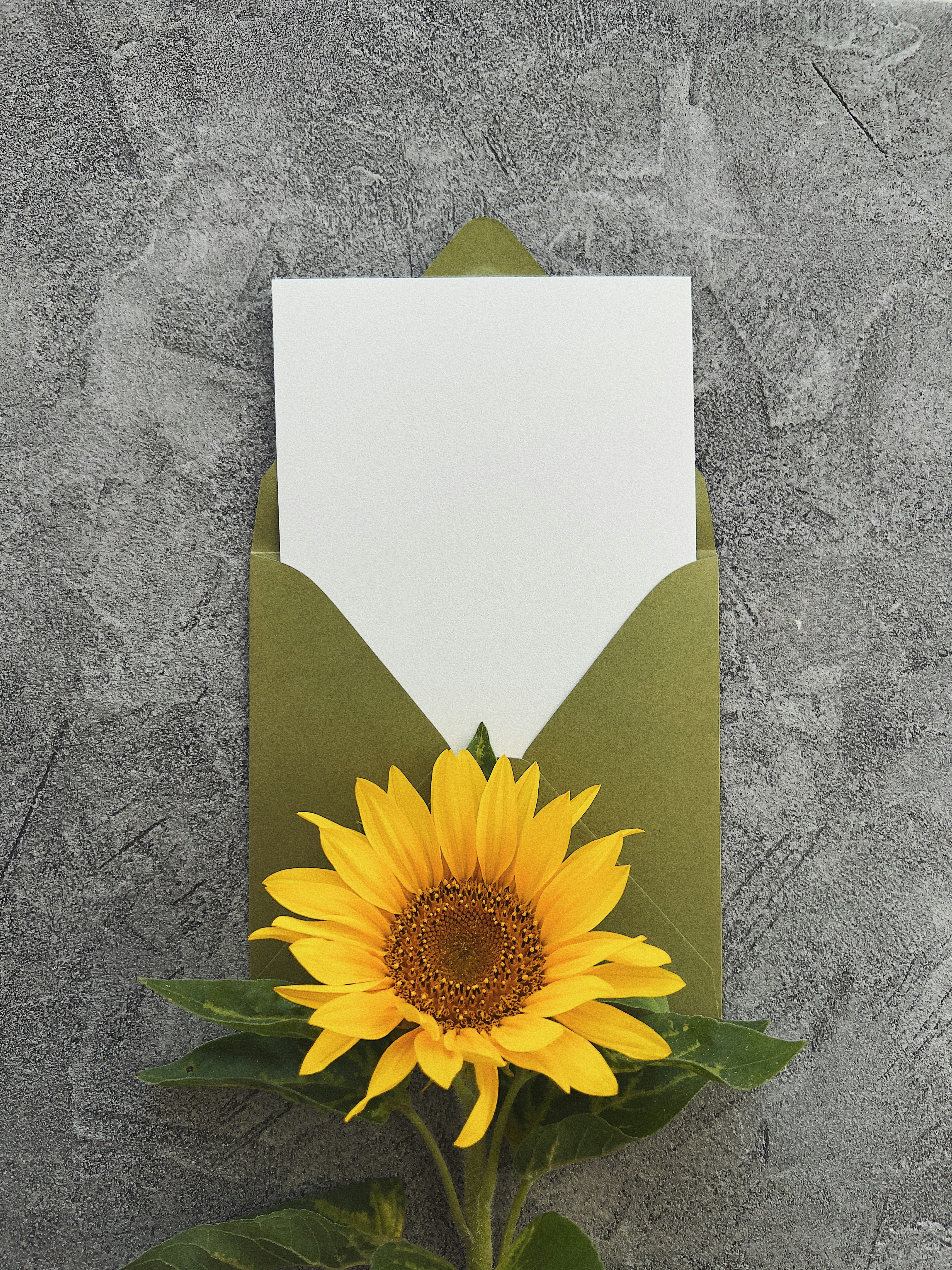 Nature mockup for postcard