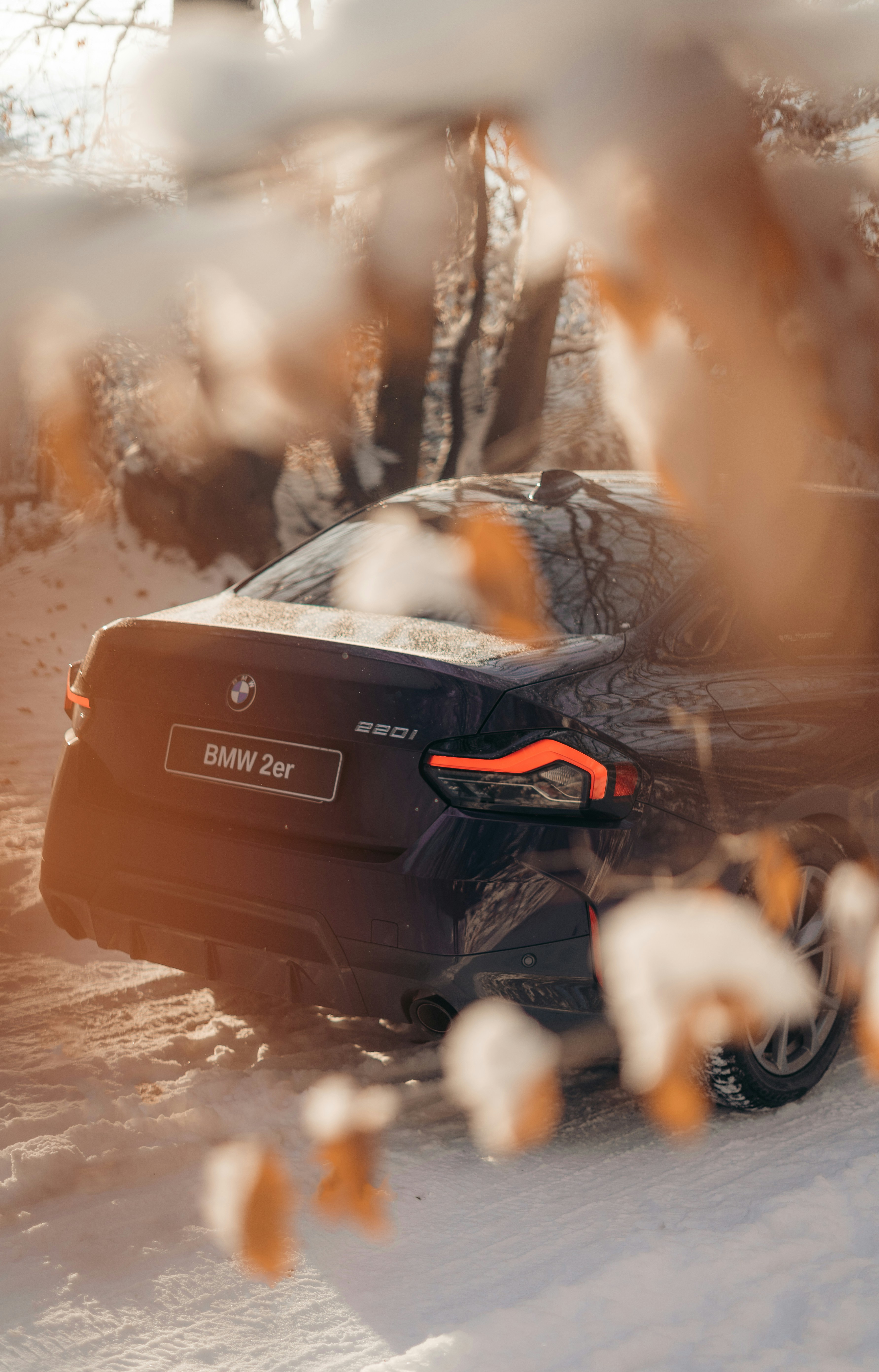 Winter Drive: BMW 2er Emerges Through Frosted Veil