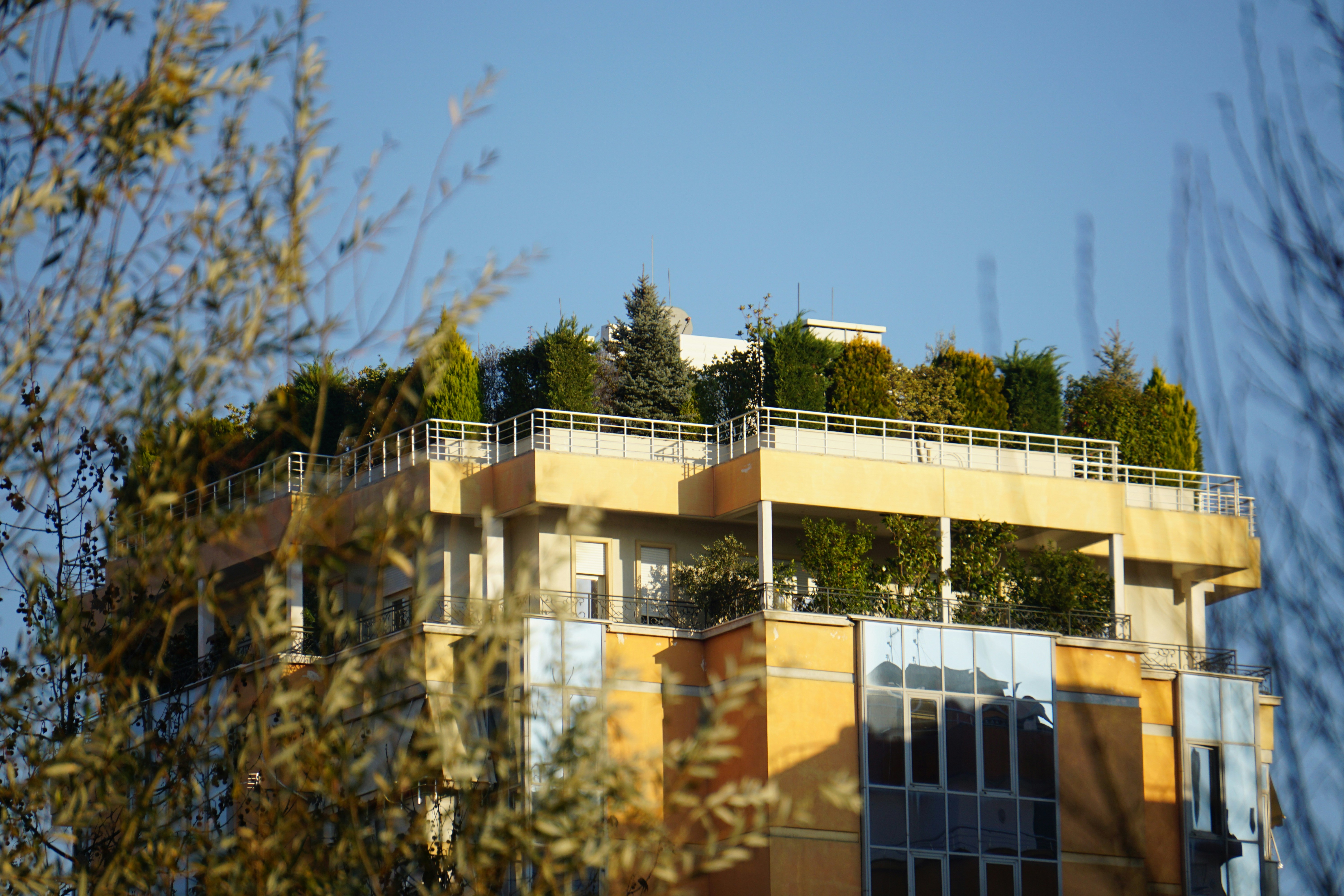 Rooftop garden flourishing atop a modern building against a clear blue sky.