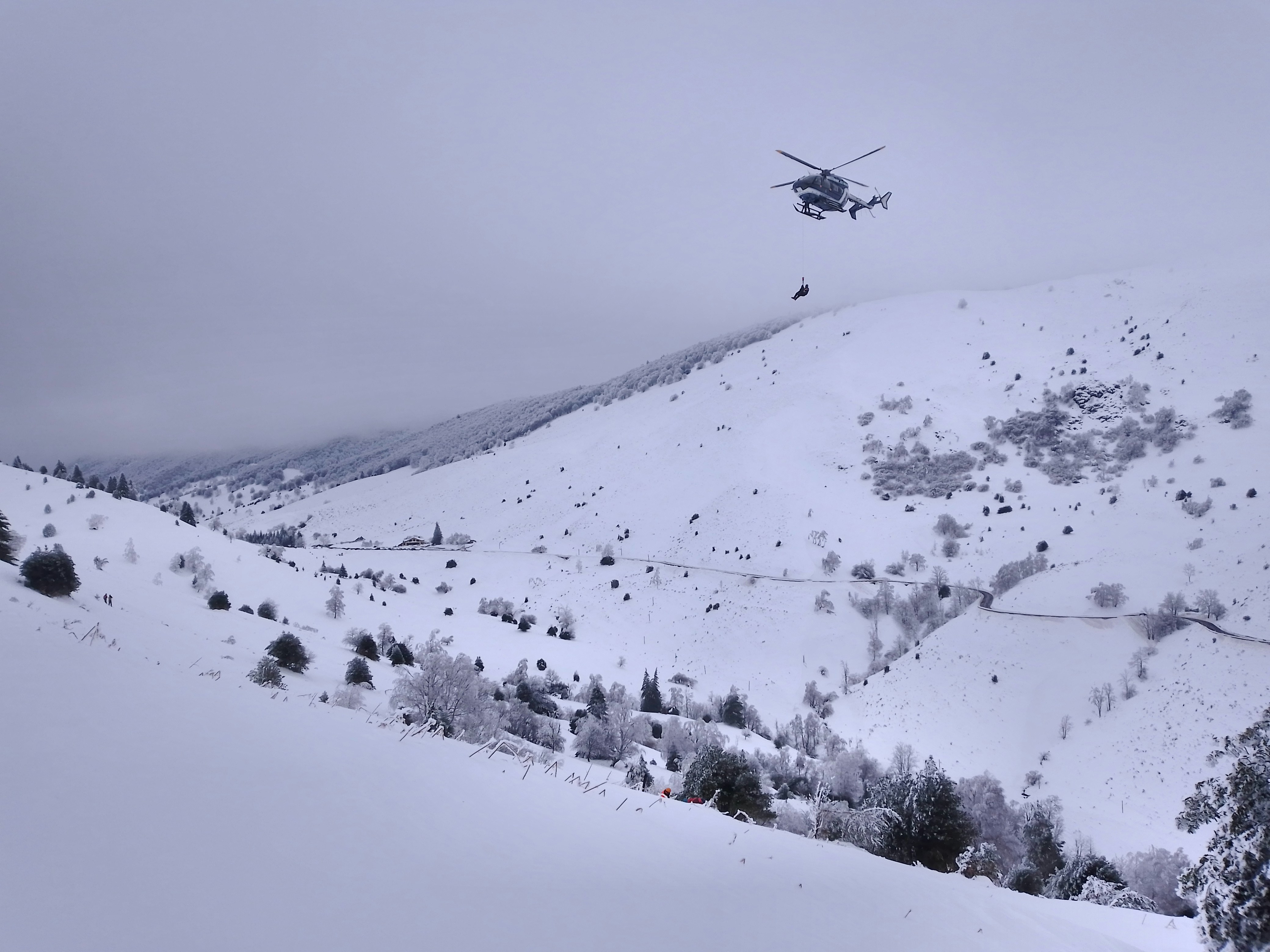 A helicopter flying over a snow covered mountain photo – Free Animal ...