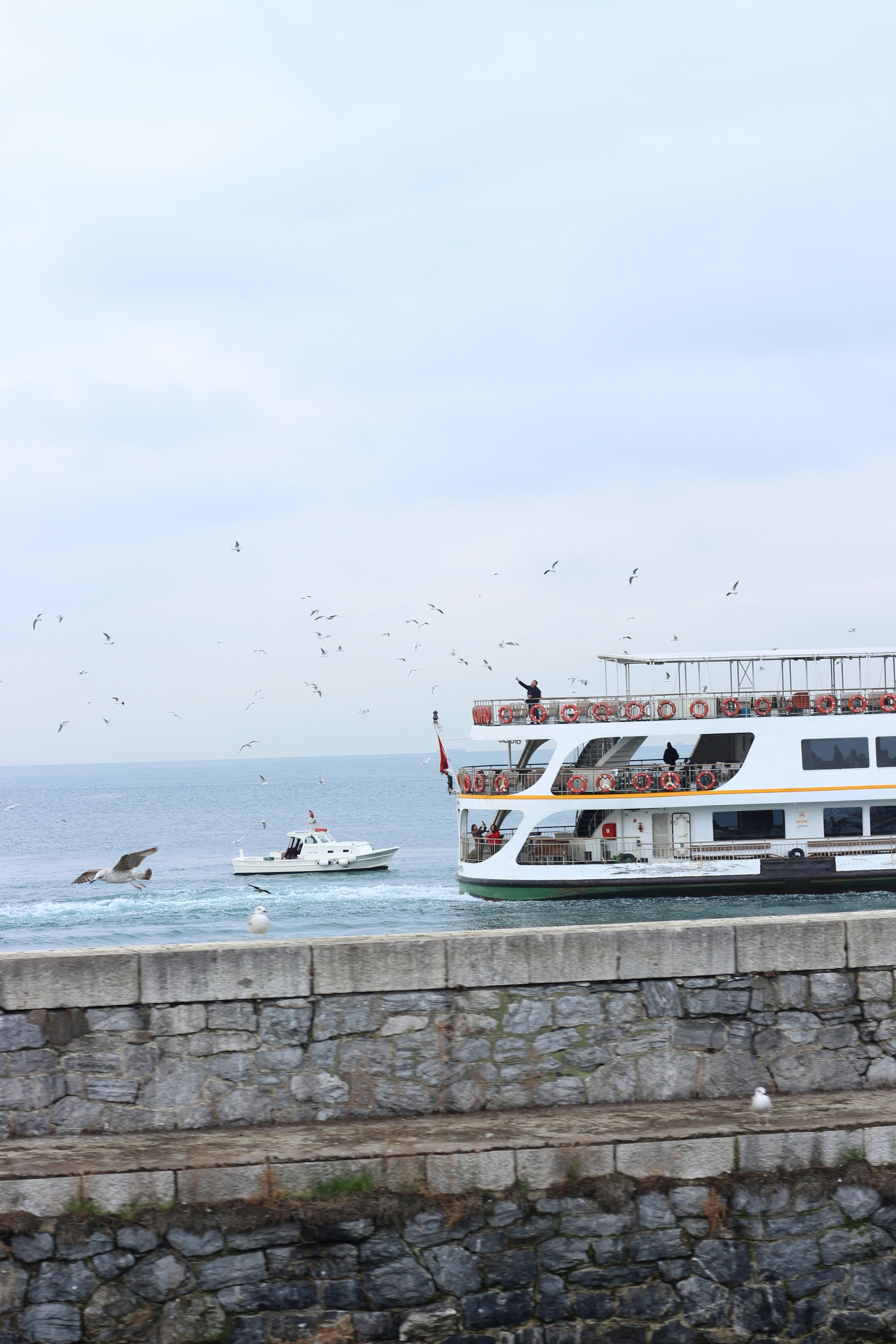 Seabreeze Rendezvous: A Passenger Vessel Passes a Stone Pier as Seabirds Gather