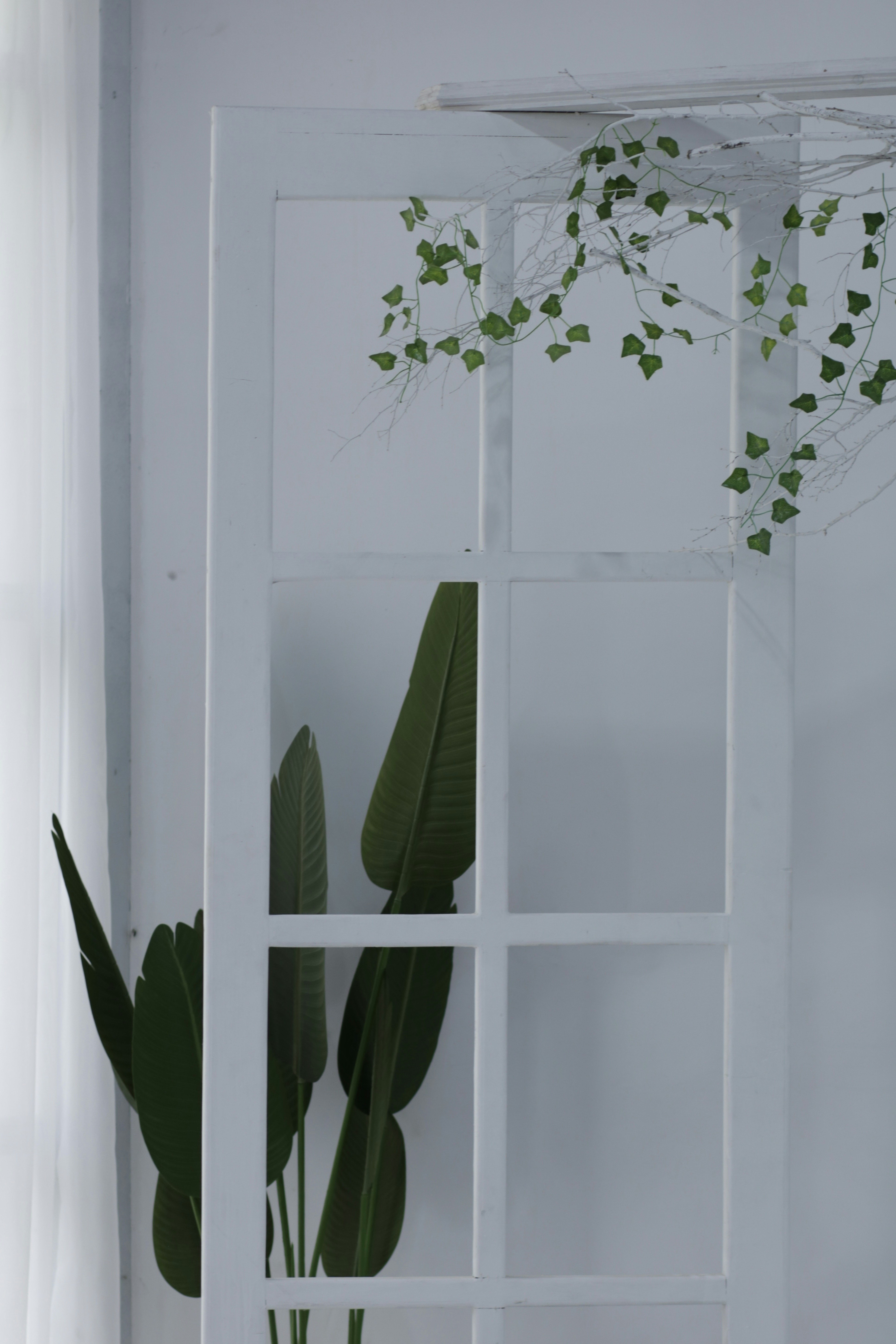 a green plant in a white vase on a window sill