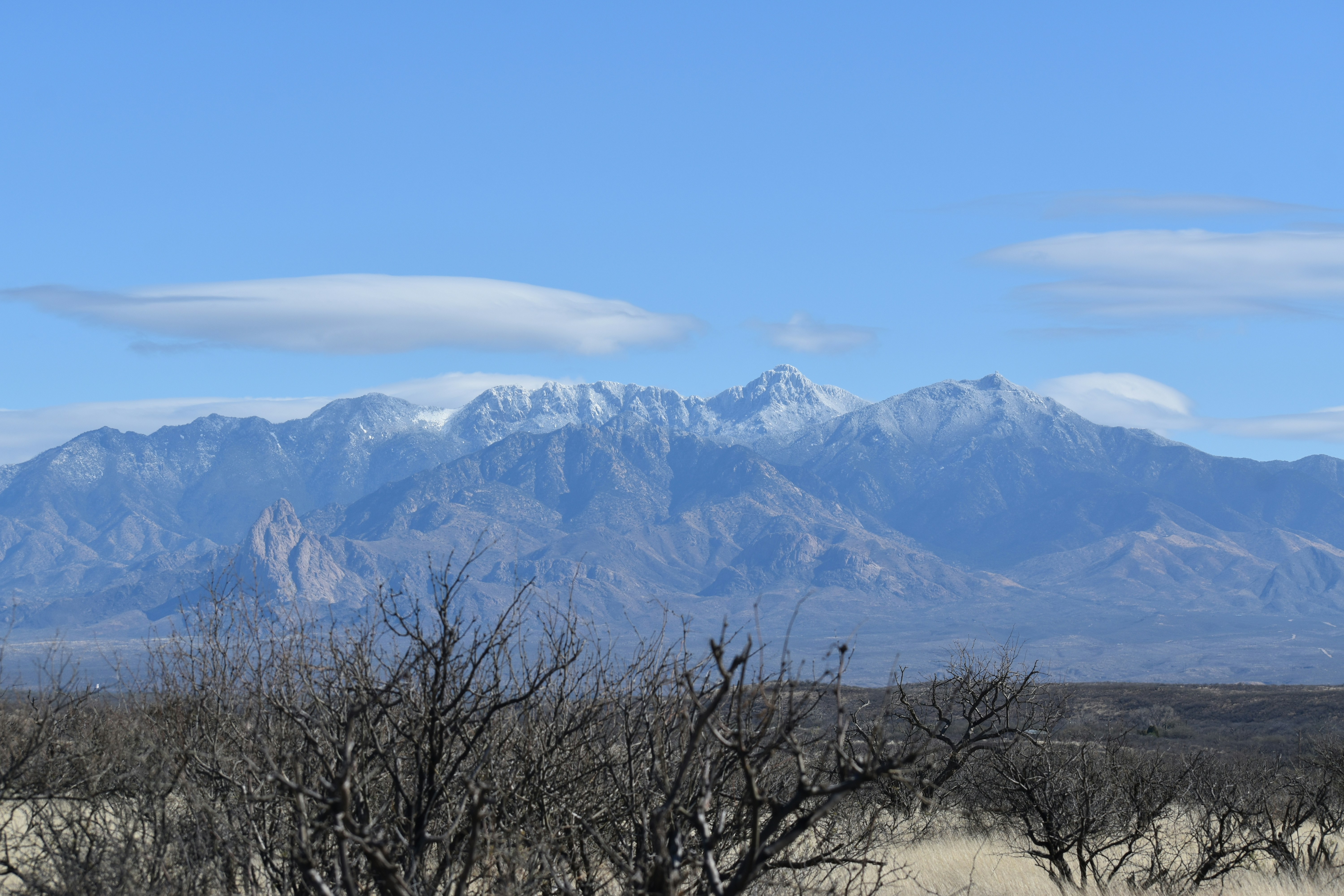 a view of a mountain range with trees in the foreground