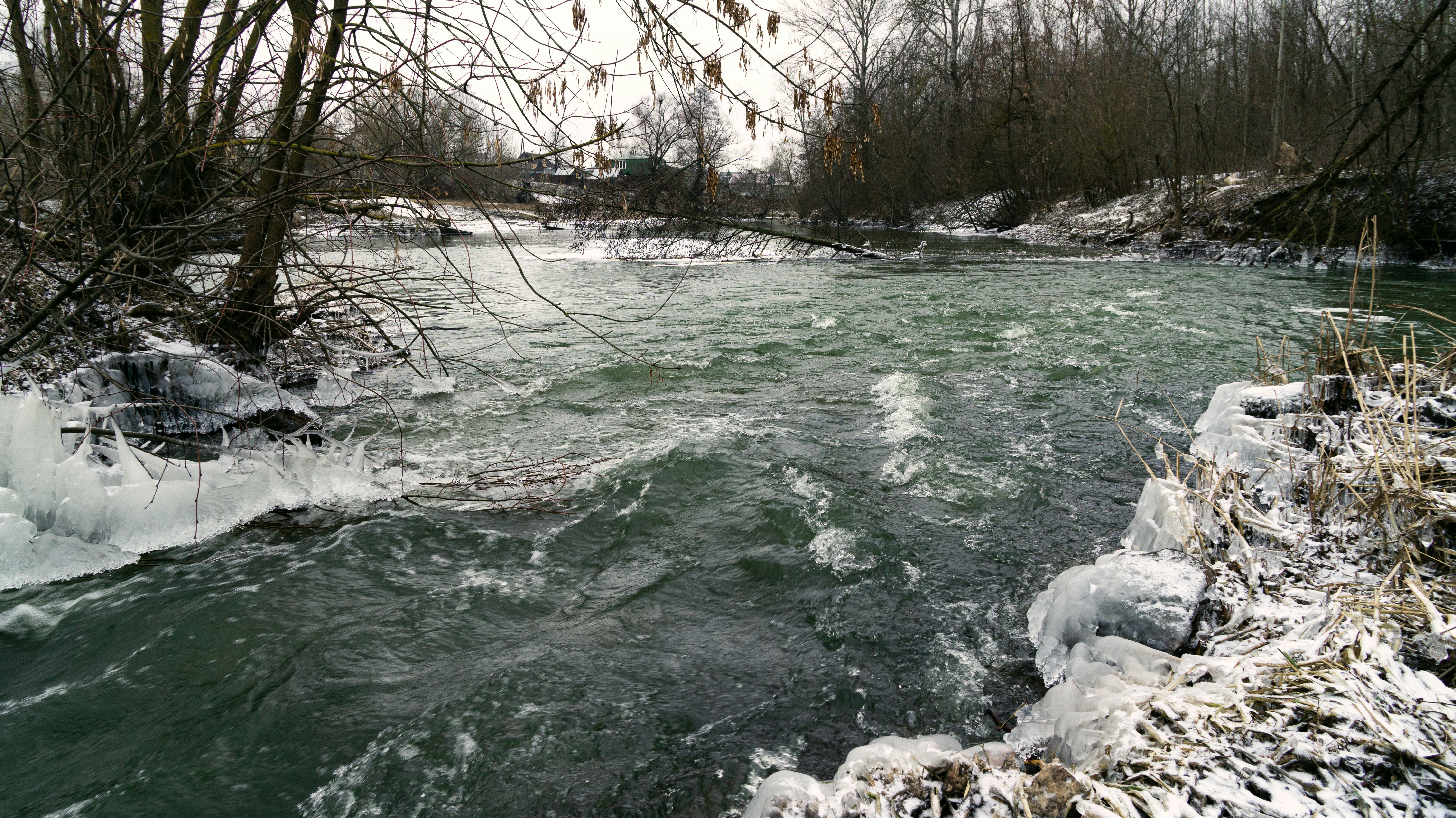 Snow-Kissed Rapids: Winter Currents Along a Frosted Riverside