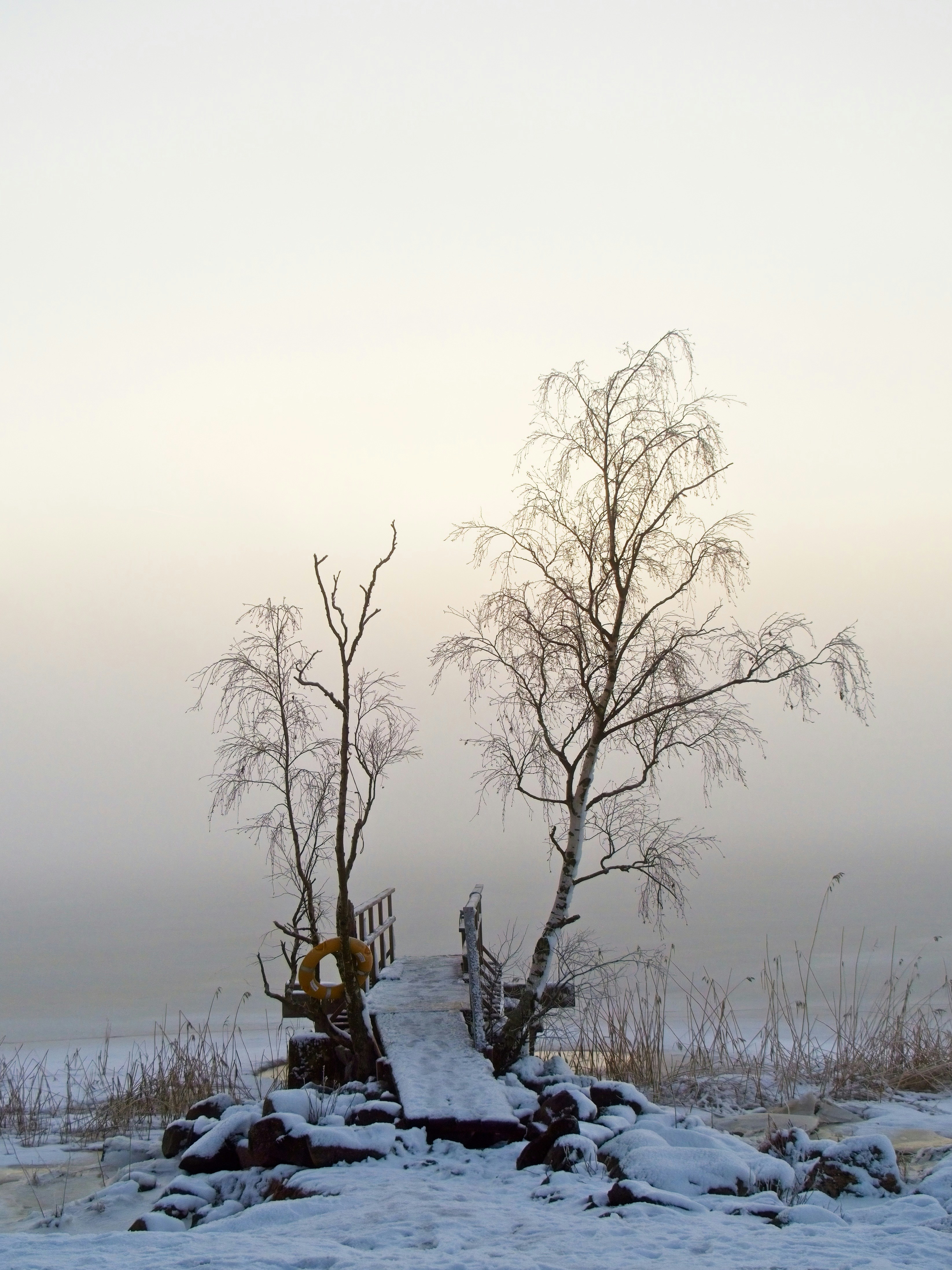 Snowbound Pier at Dawn: A Fragile Path to the Quiet Horizon
