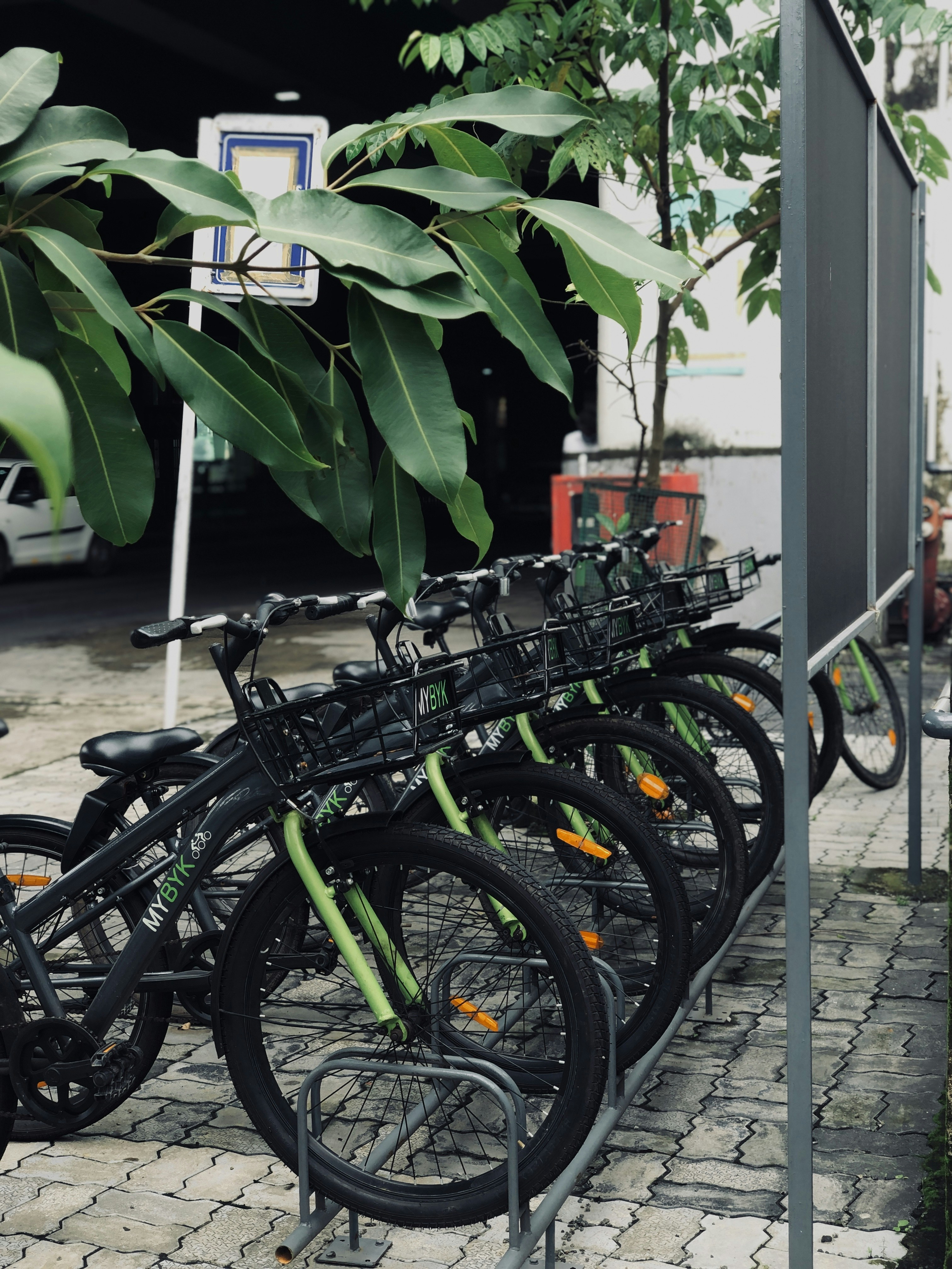 Neon-Green Frames Aligned: Bicycles Quietly Line Up Under a Leafy Canopy