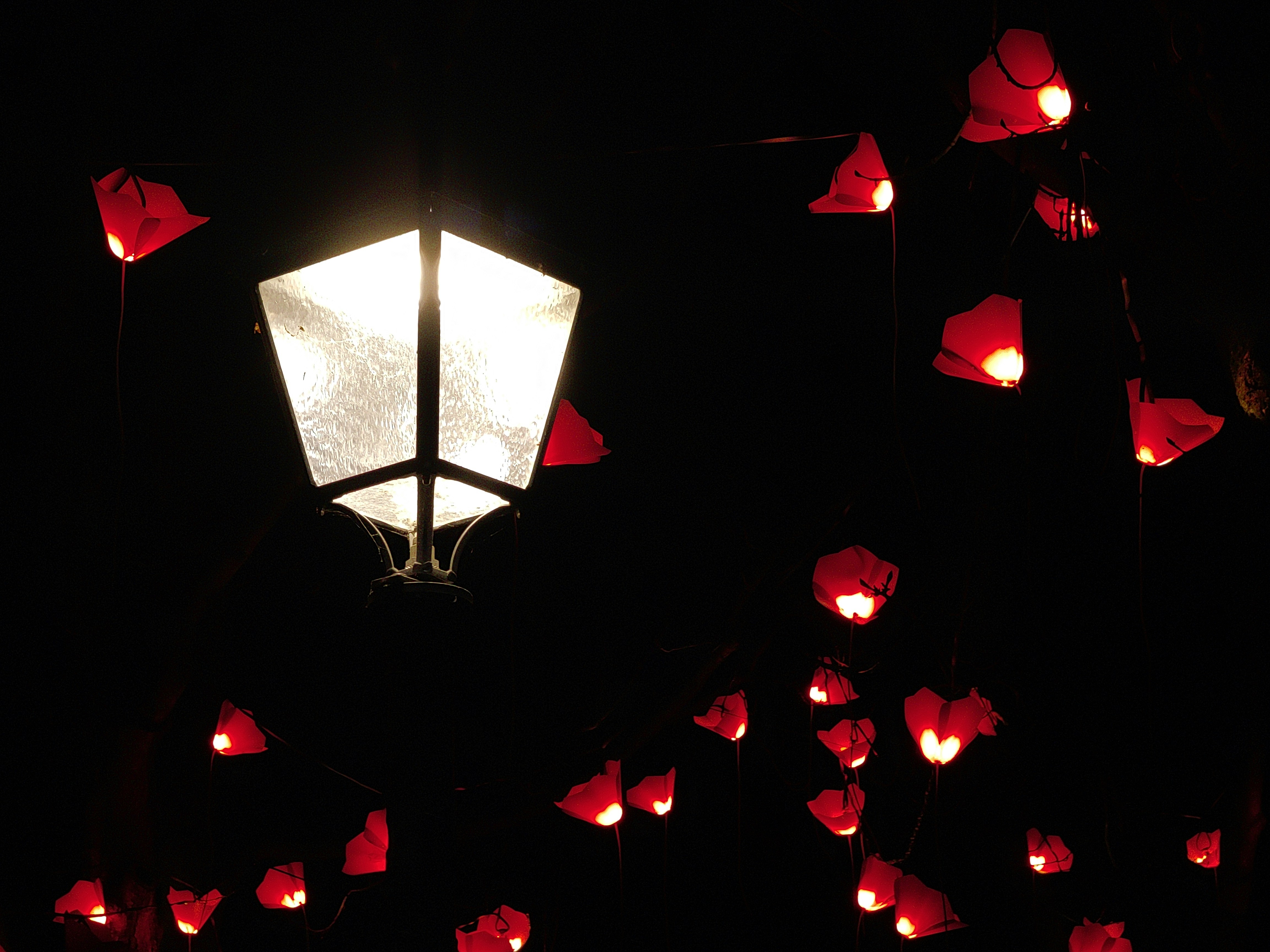 Night Watch Beneath a Halo: Streetlamp Among Red Lanterns