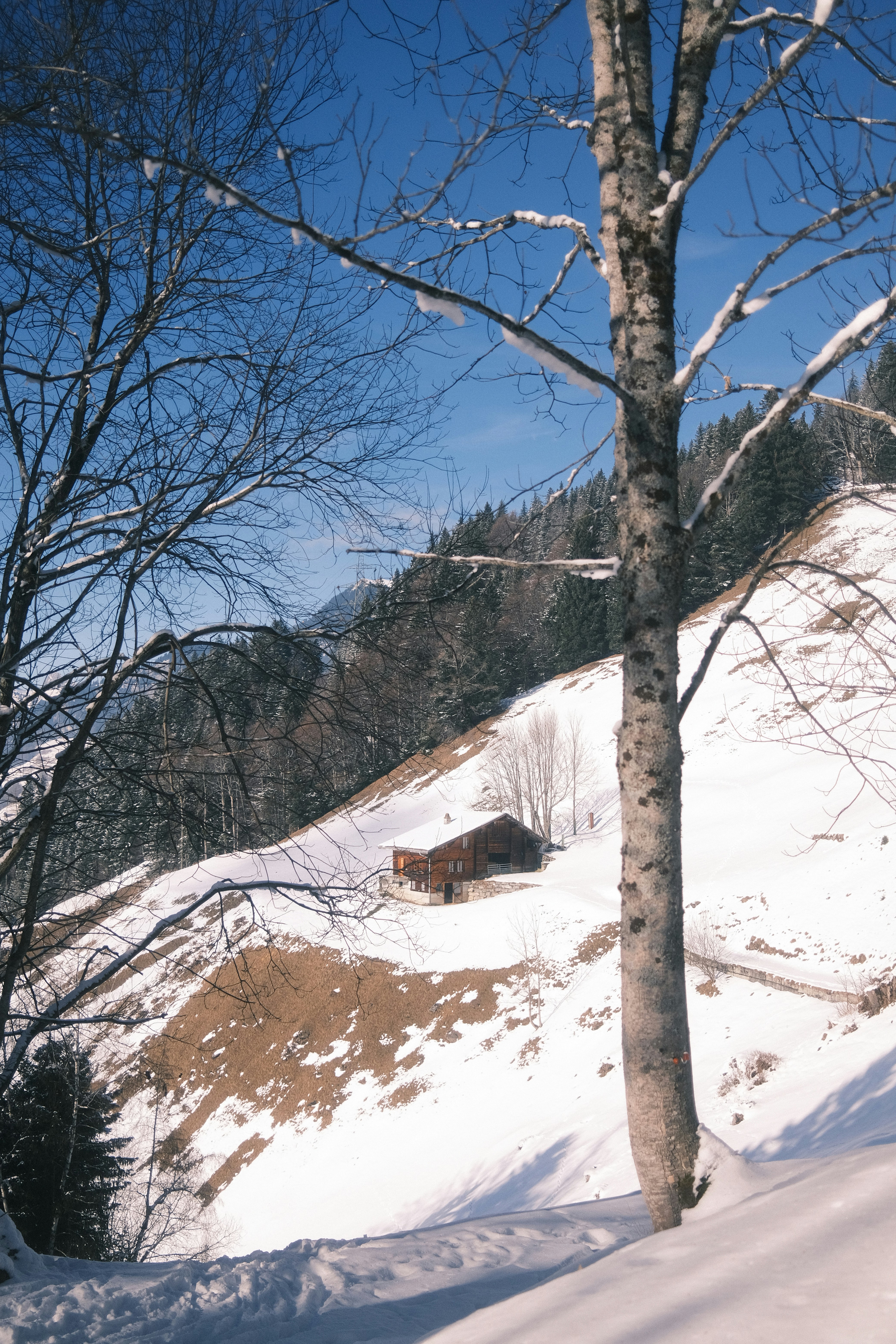 Photo by Kajetan Sumila with Fujifilm X100V