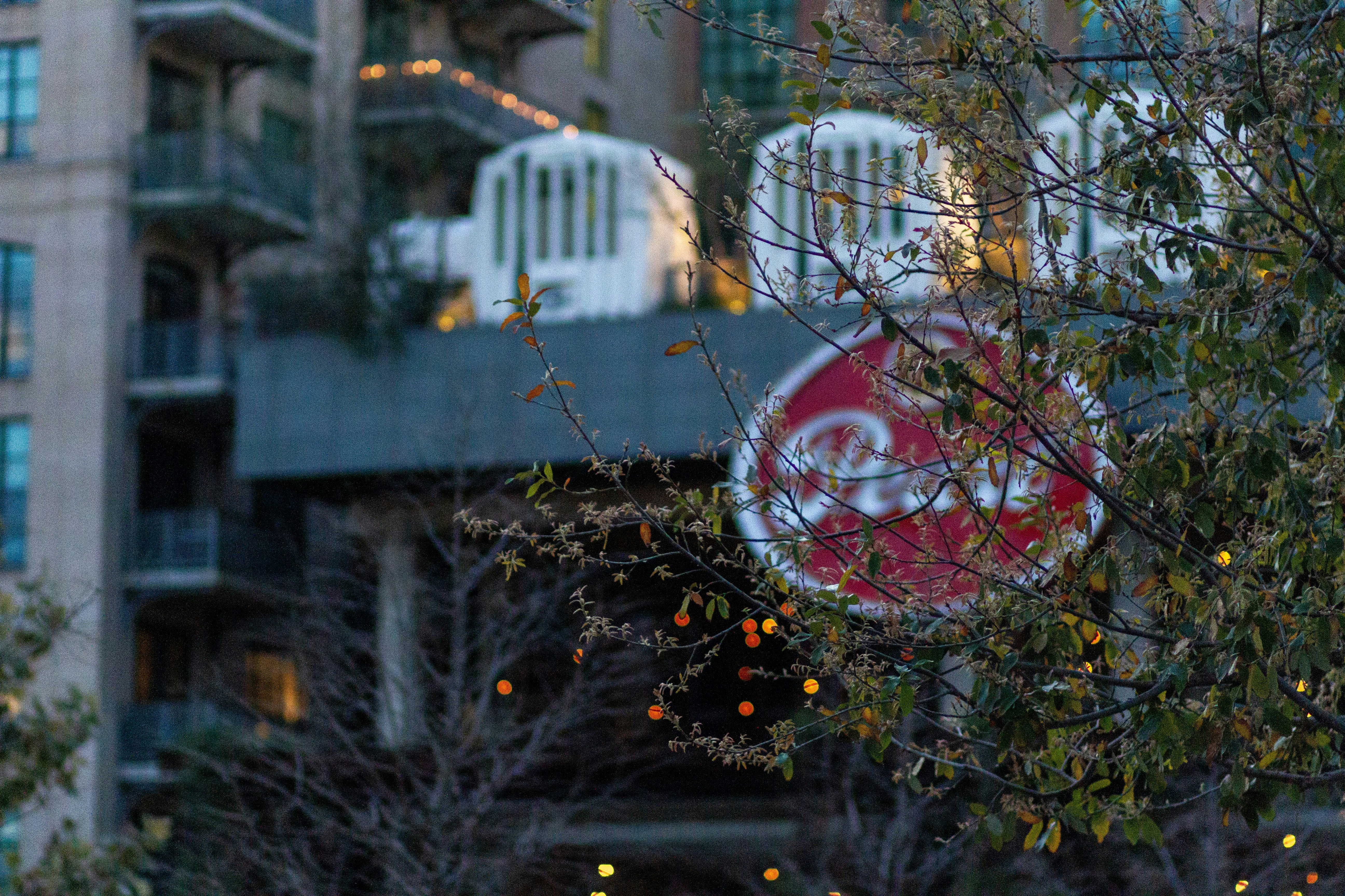Blurred neon sign contrasted against a city building and surrounding trees.