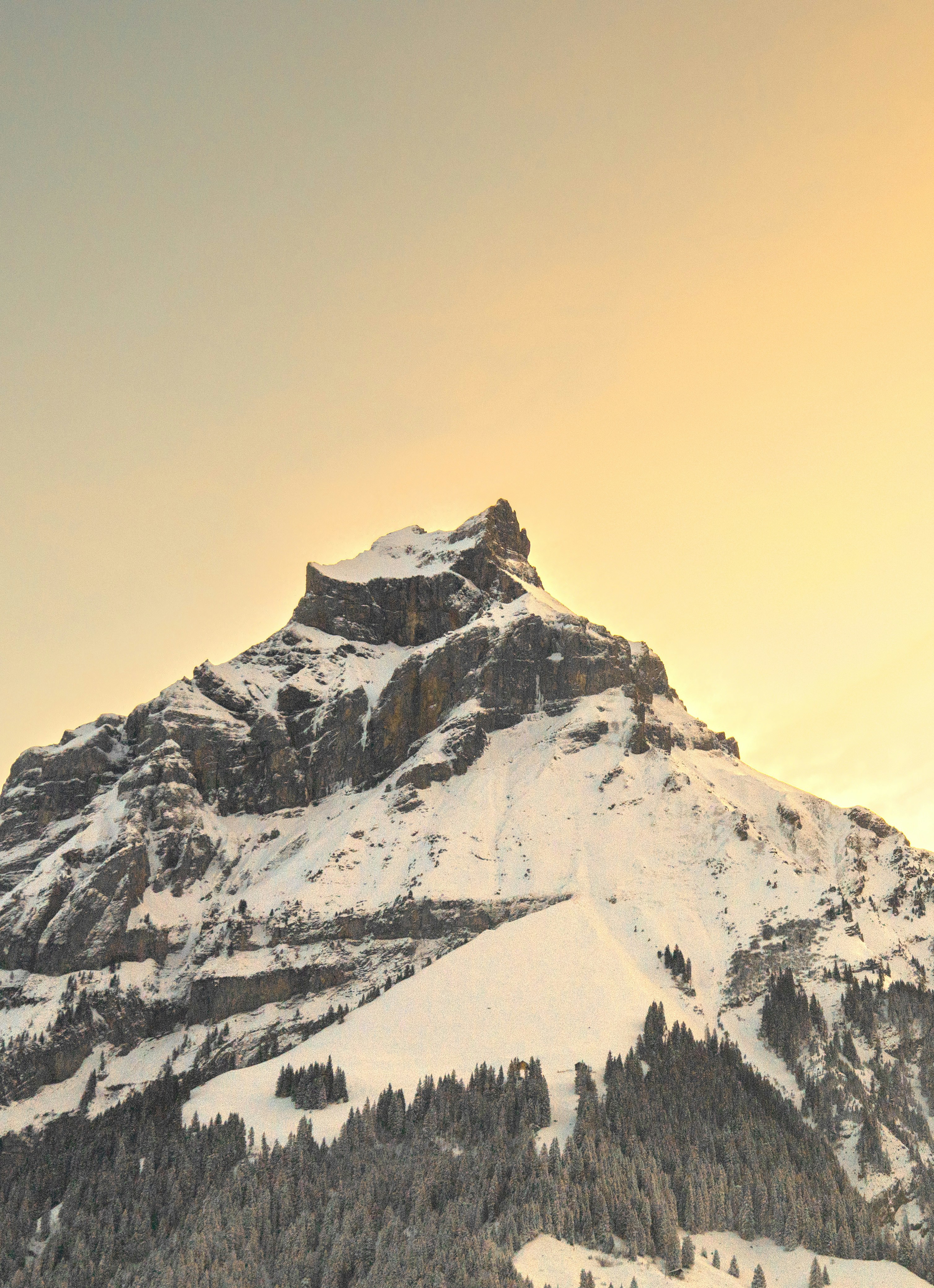 Une montagne couverte de neige avec des arbres sur le côté photo ...