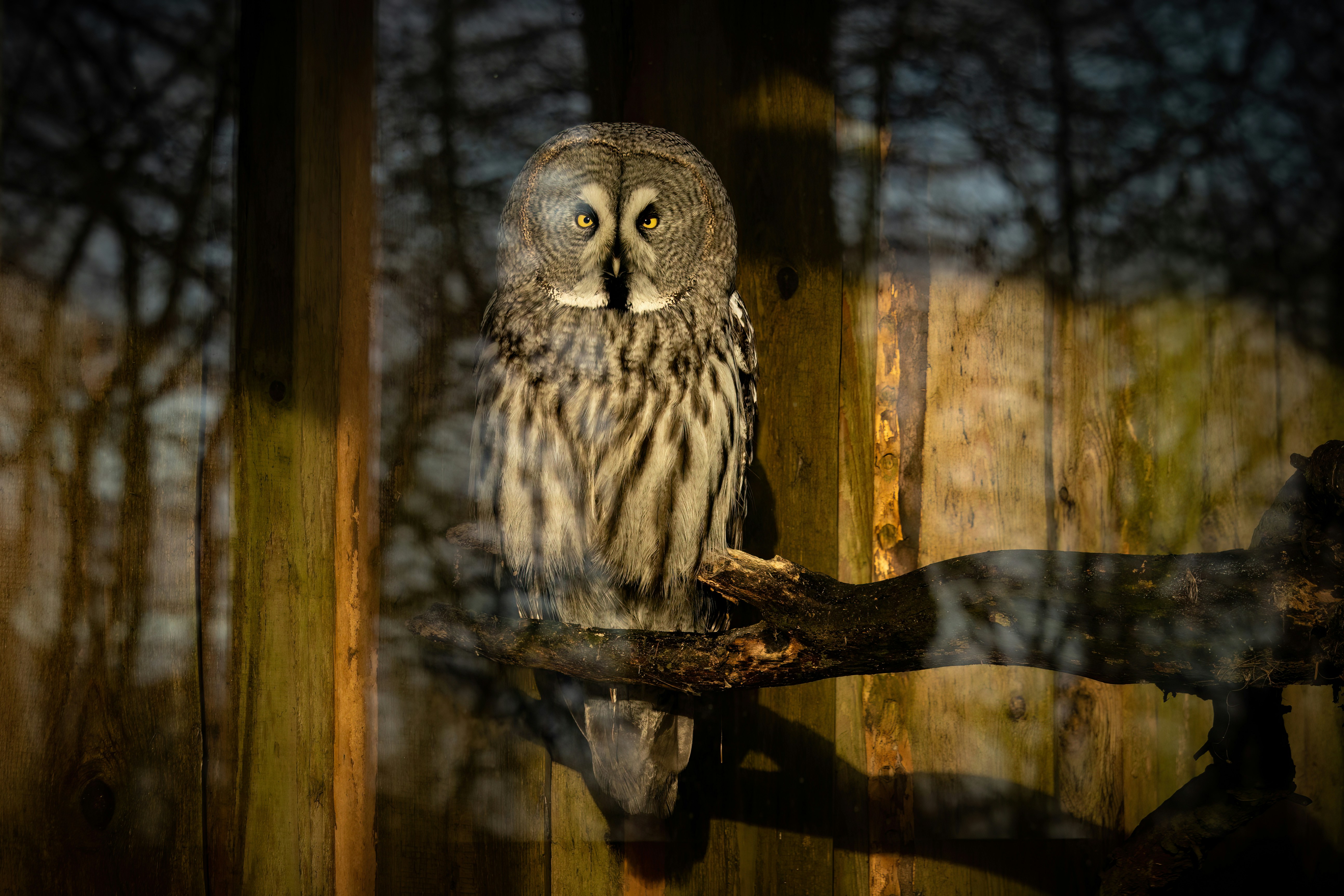 Photo by Jevgeni Fil with Canon EOS 850D