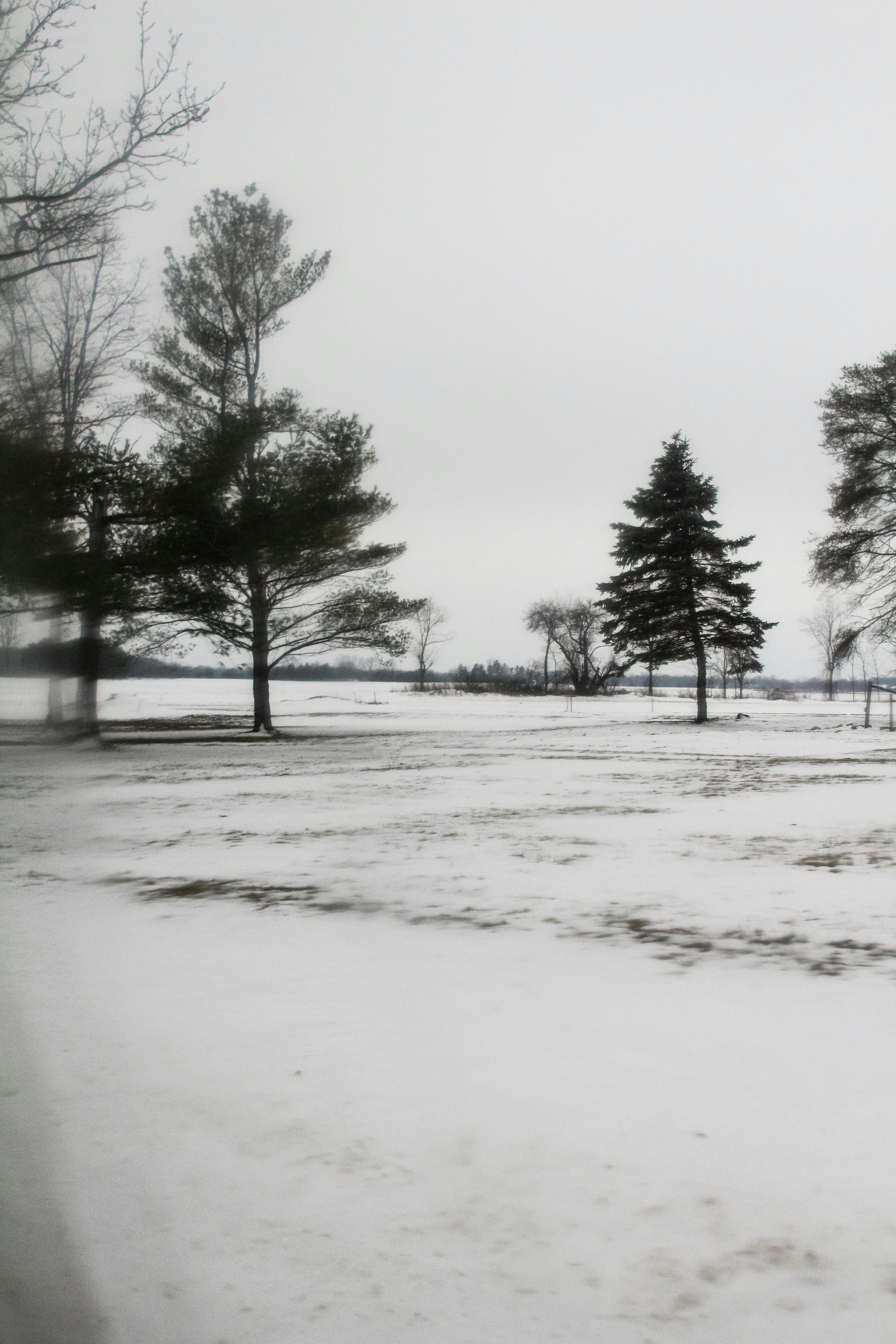 Gryffin Alejandro (@galejandro) | Comunidade de fotos da Unsplash