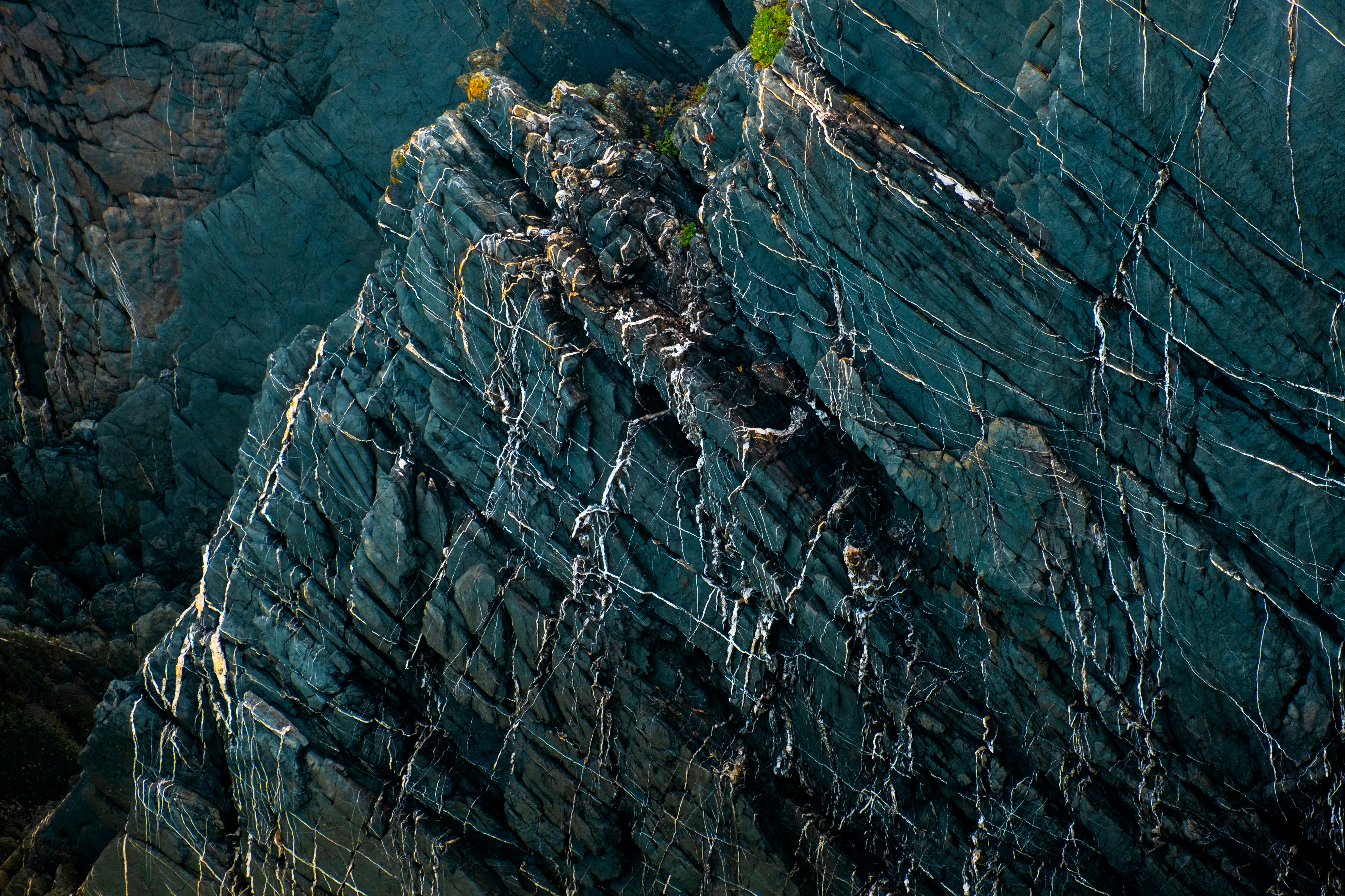 A rock formation with vines growing on it photo – Free Cabo sardão ...