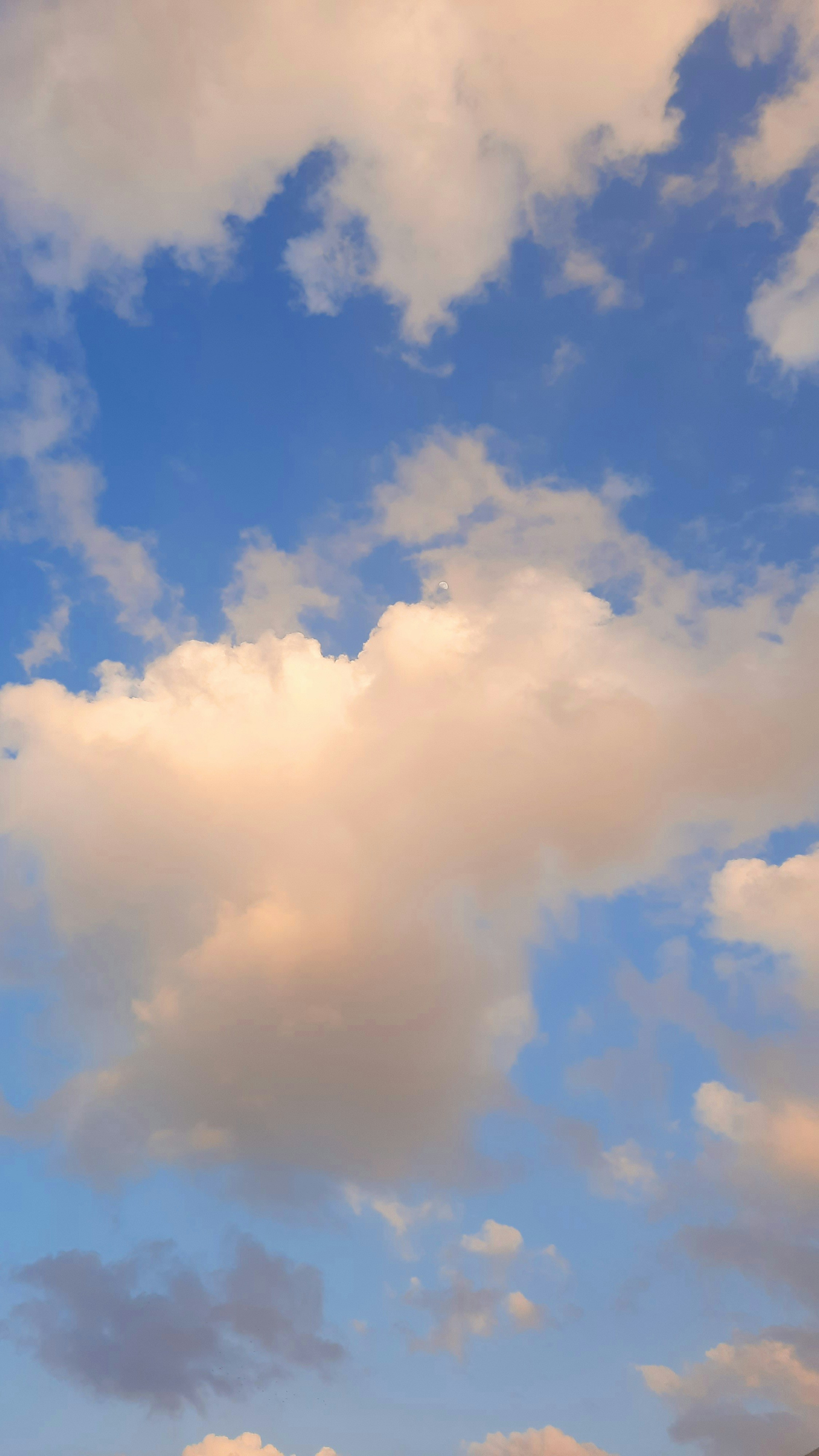 Mariem MALKI (@mrymmalki) | Unsplashフォトコミュニティ