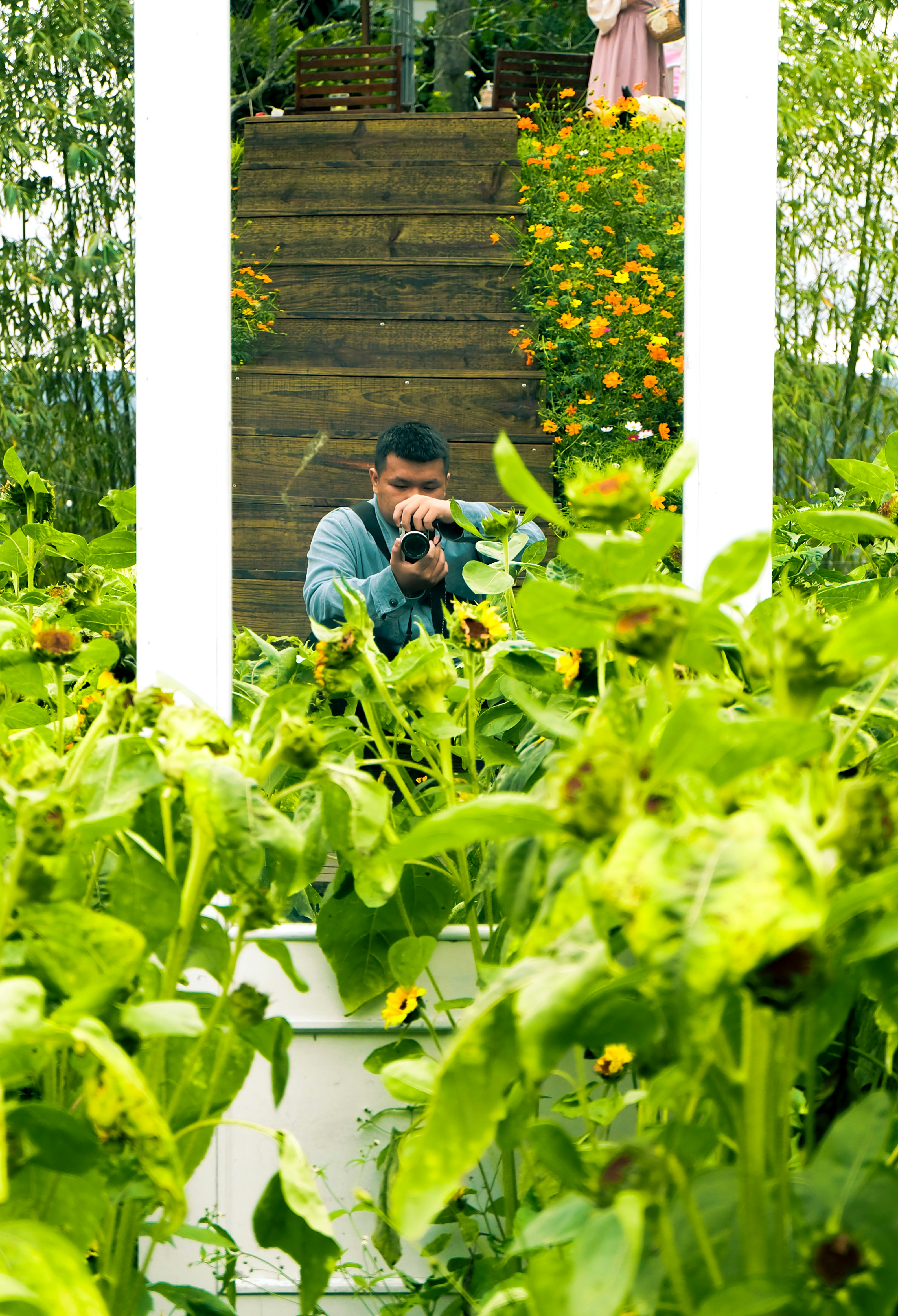 Lens in a Frame: A Photographer Finds Focus in a Sunlit Garden Corridor