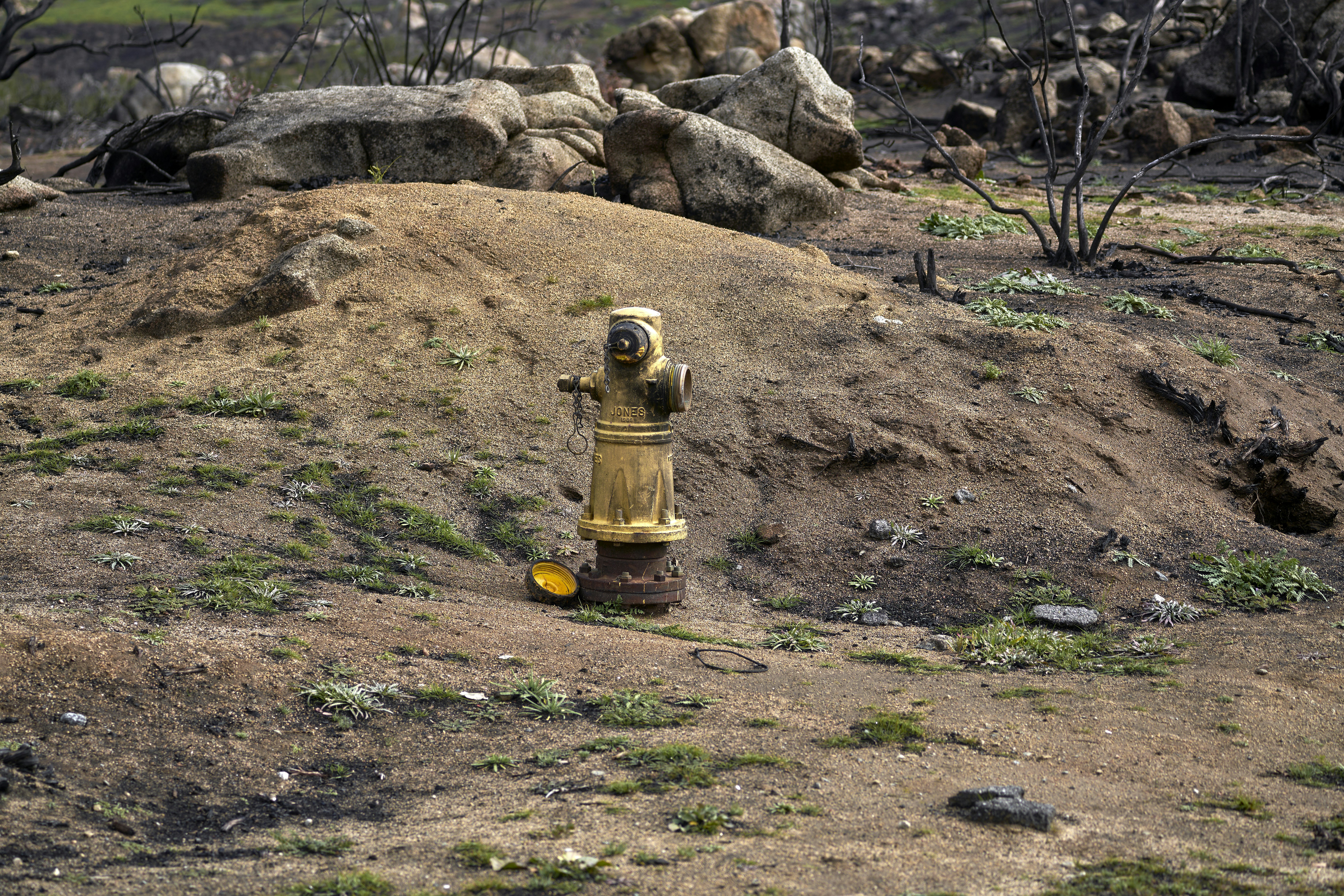 Found this old fire hydrant out in the hills all by itself. | a yellow fire hydrant sitting on top of a dirt hill