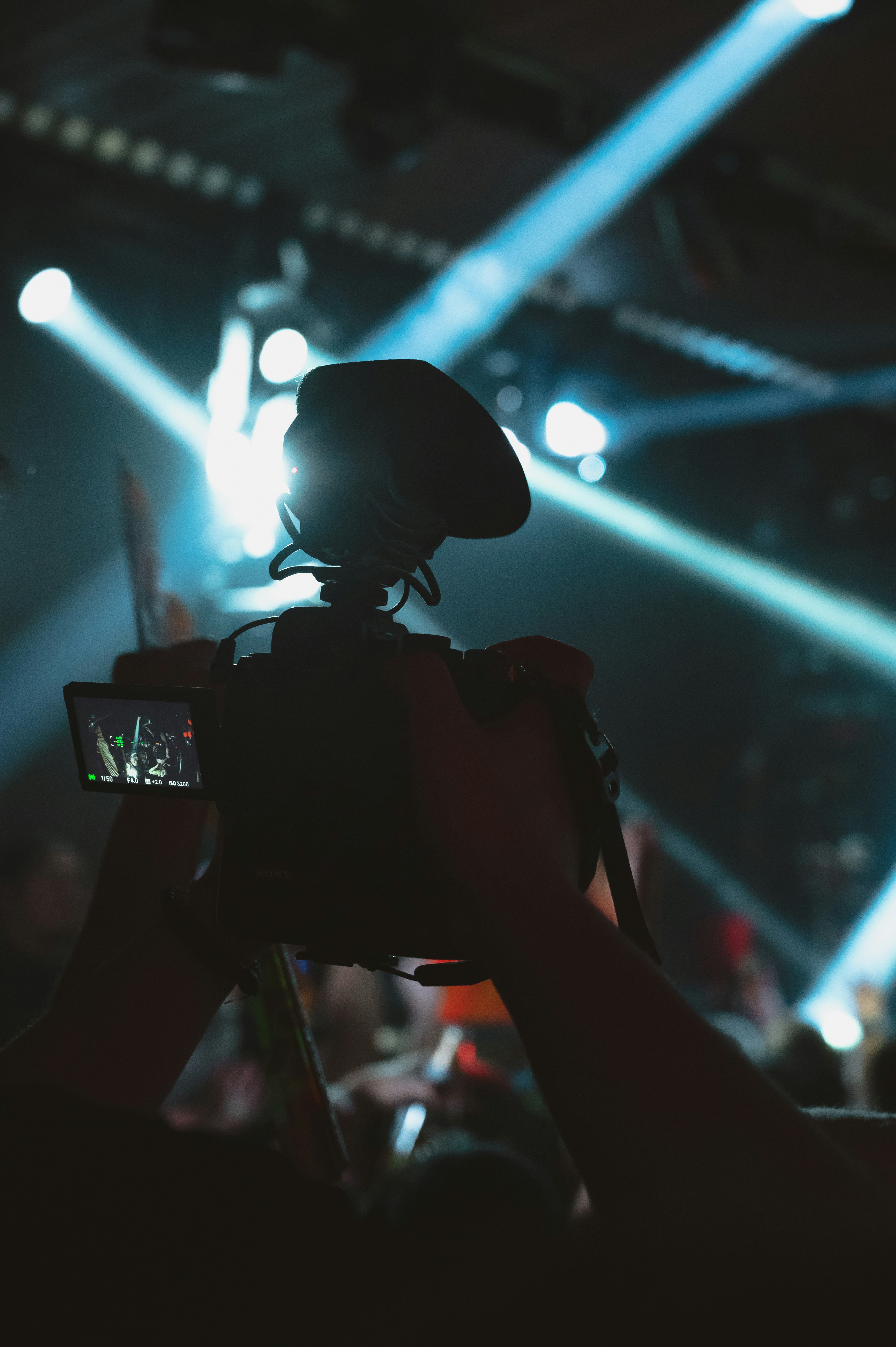 Behind the Spotlight: Silhouette Chronicle at a Live Show