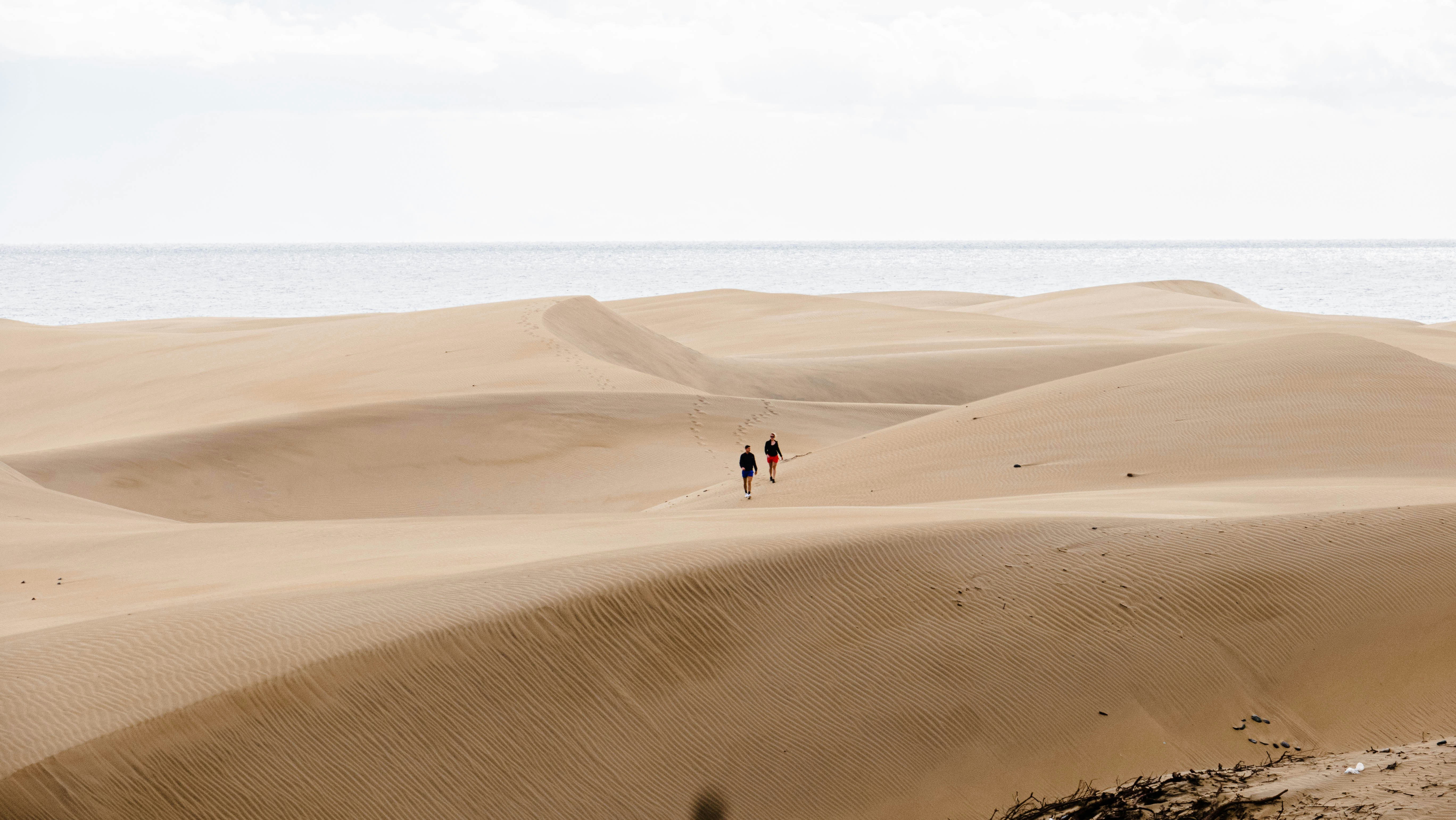 A couple of people that are standing in the sand photo – Free ...