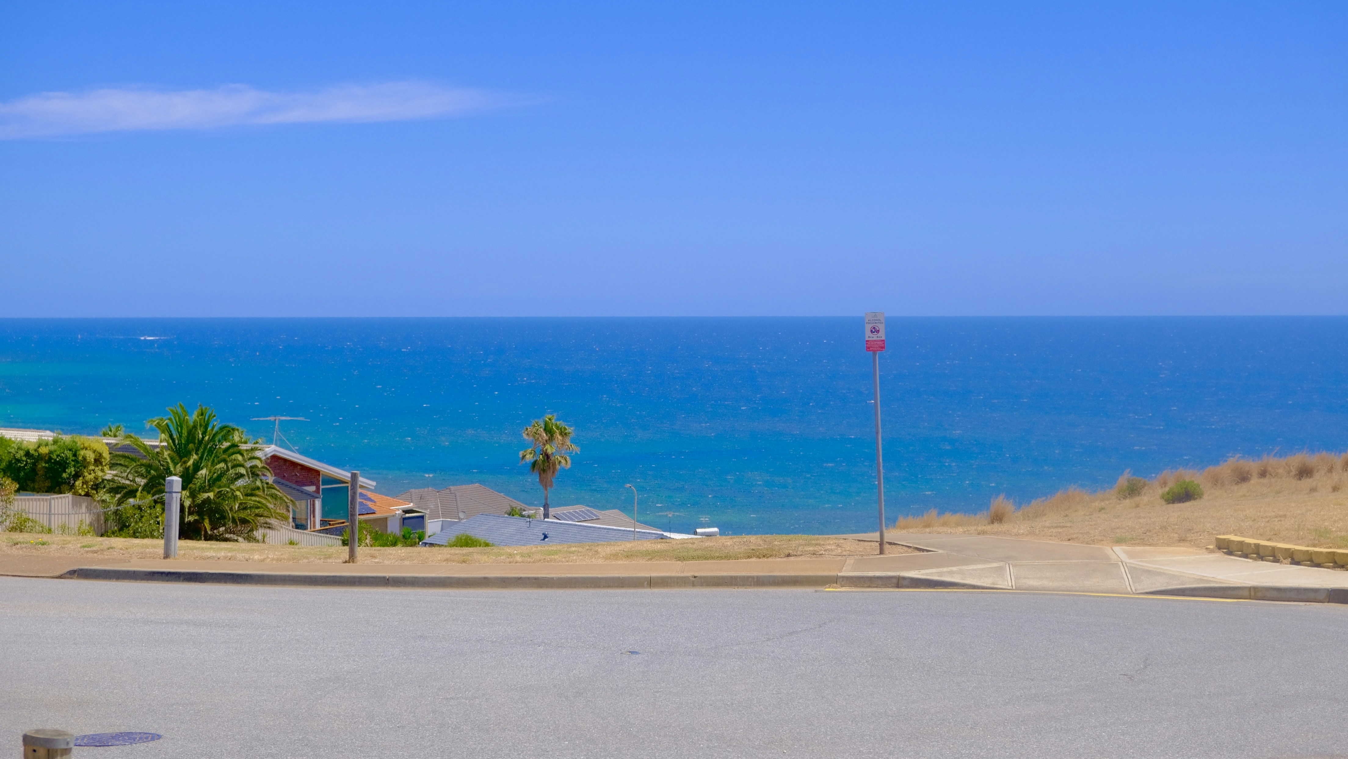 Palm on the Dune Road: A Quiet Seascape Framed by Coastline and Horizon