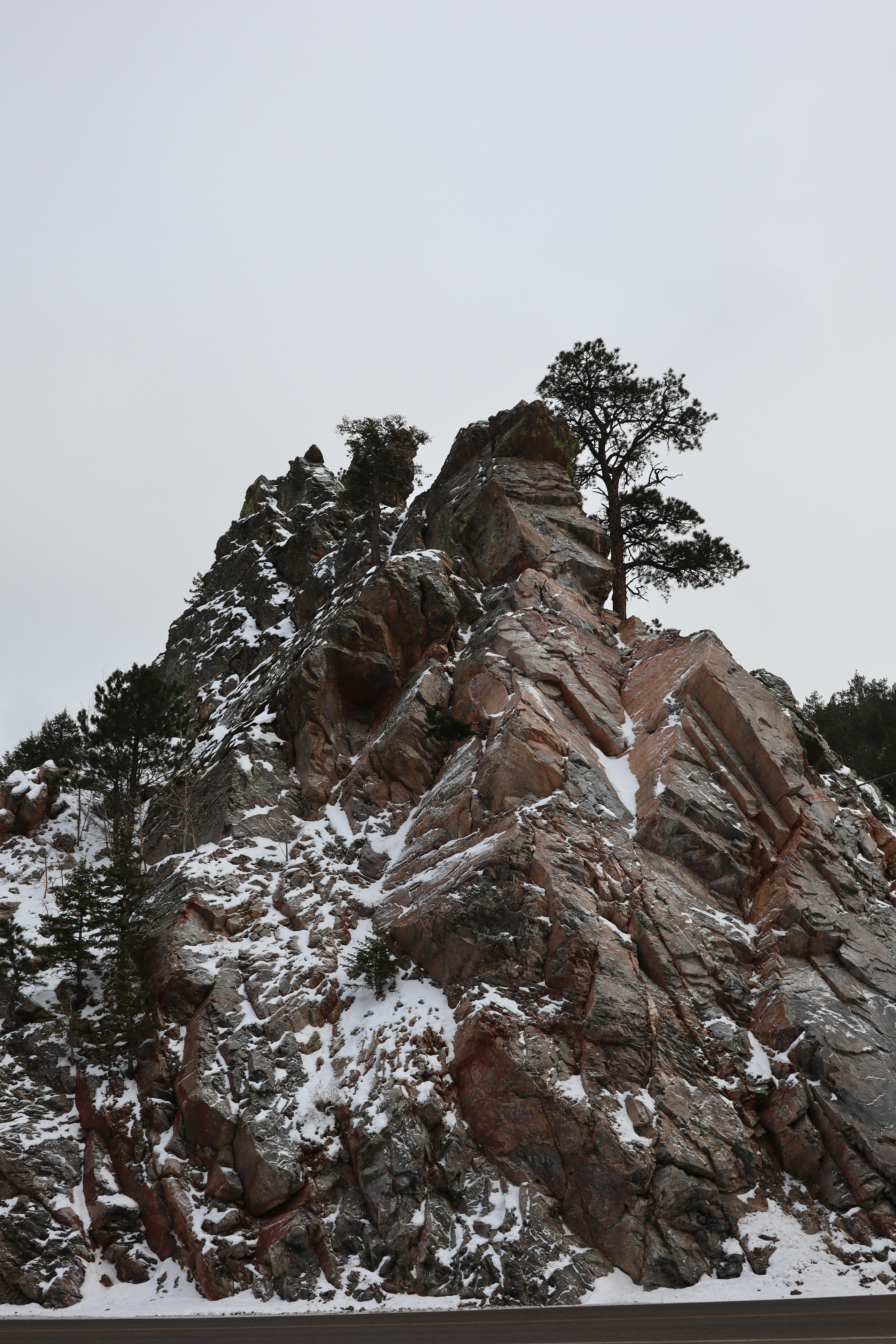 a snow covered mountain with a tree on top of it