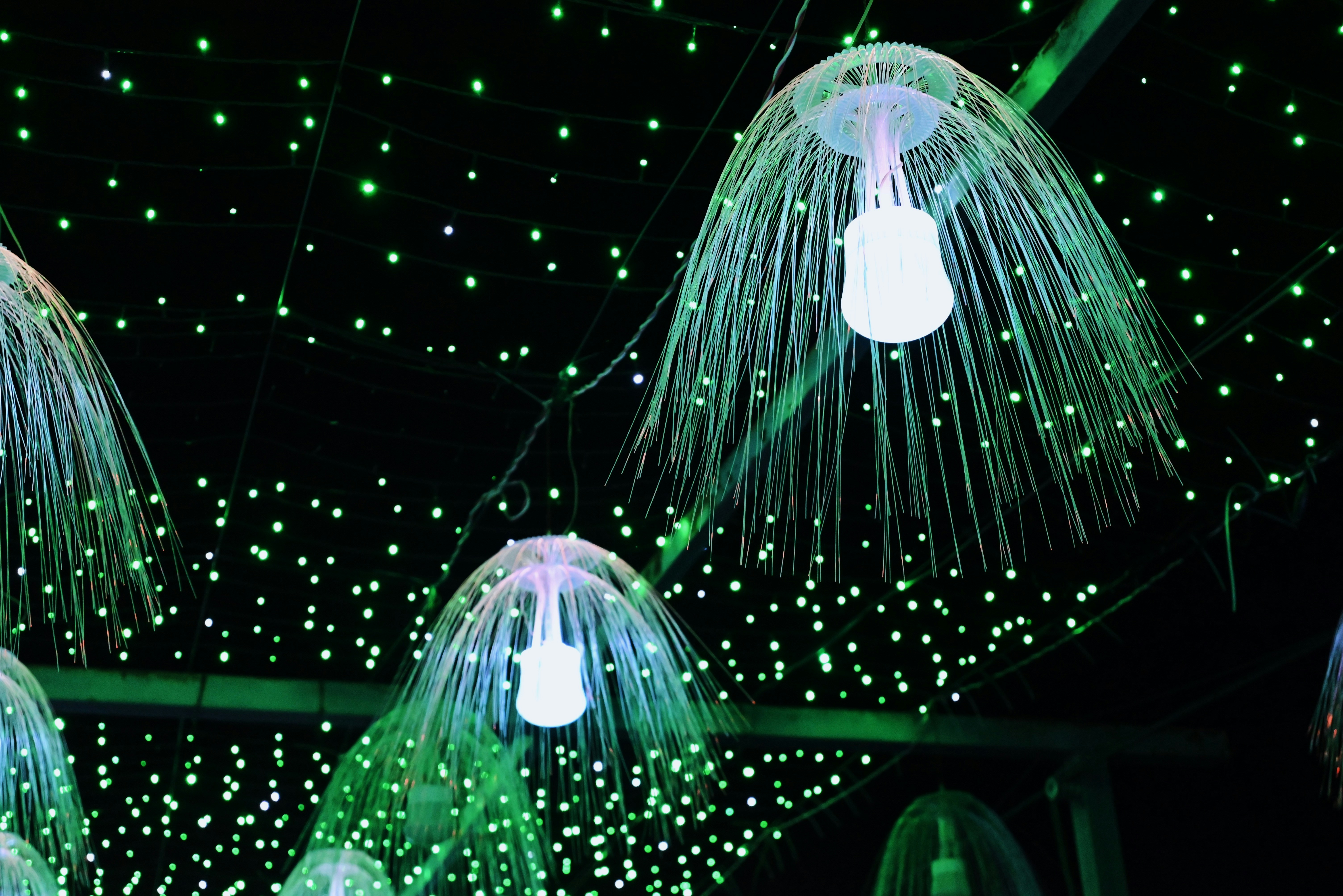 Dancing Lights: Jellylight Orbs Hover Above a Sea of Glow