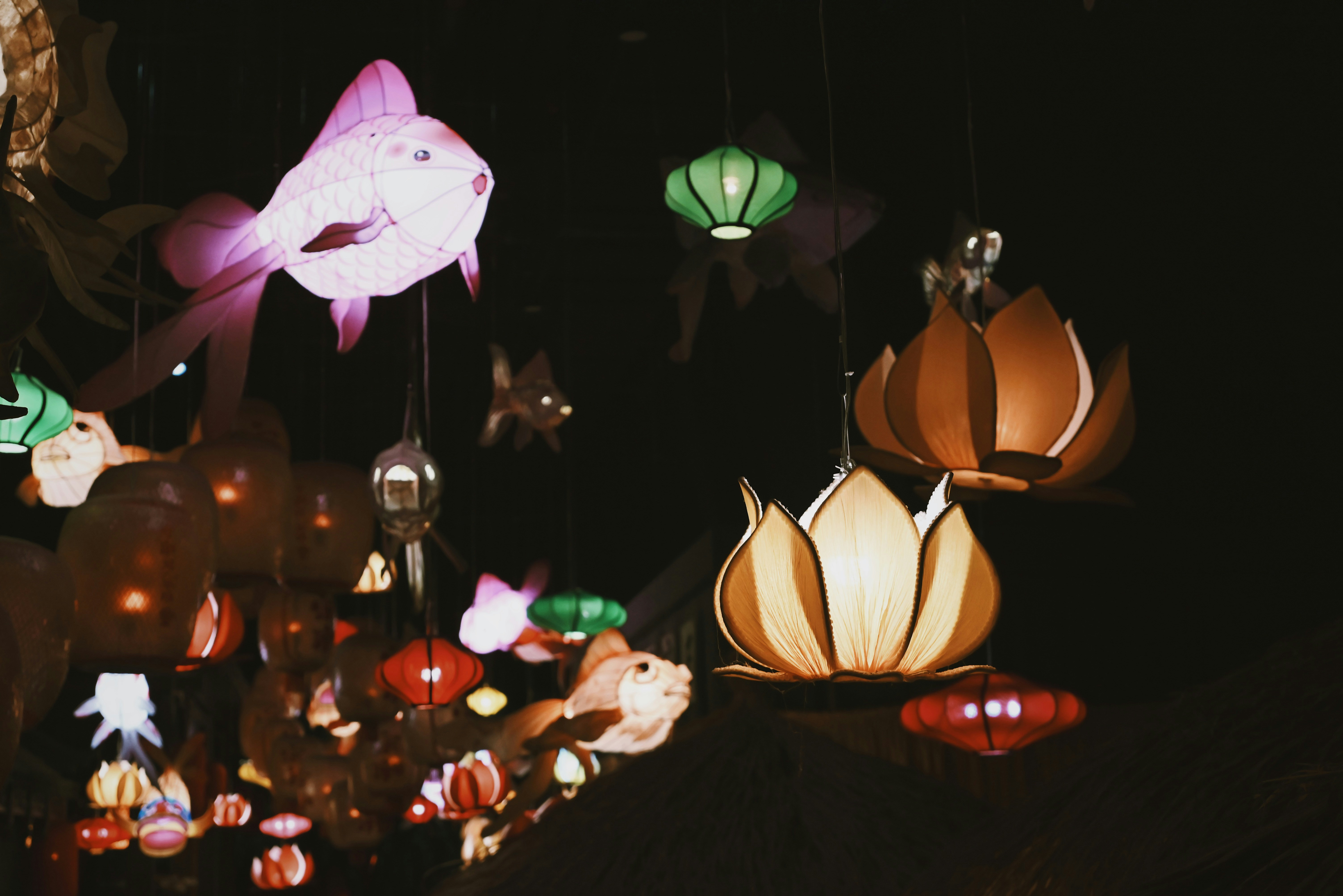 Lantern Bloom: A Midnight Garden of Floating Lights
