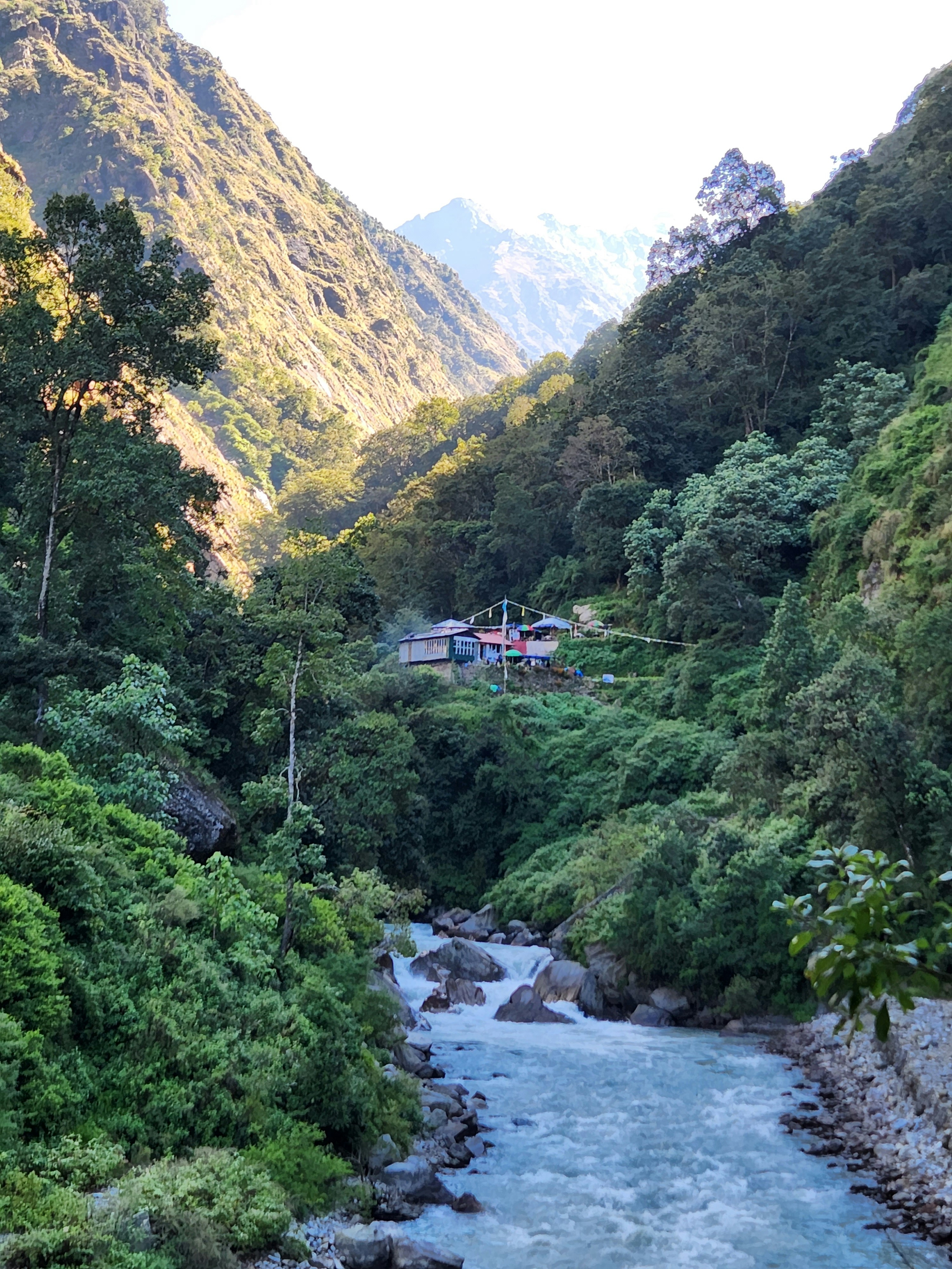 A tranquil river flows through a lush valley, with a quaint house nestled among the greenery and mountains in the background.
