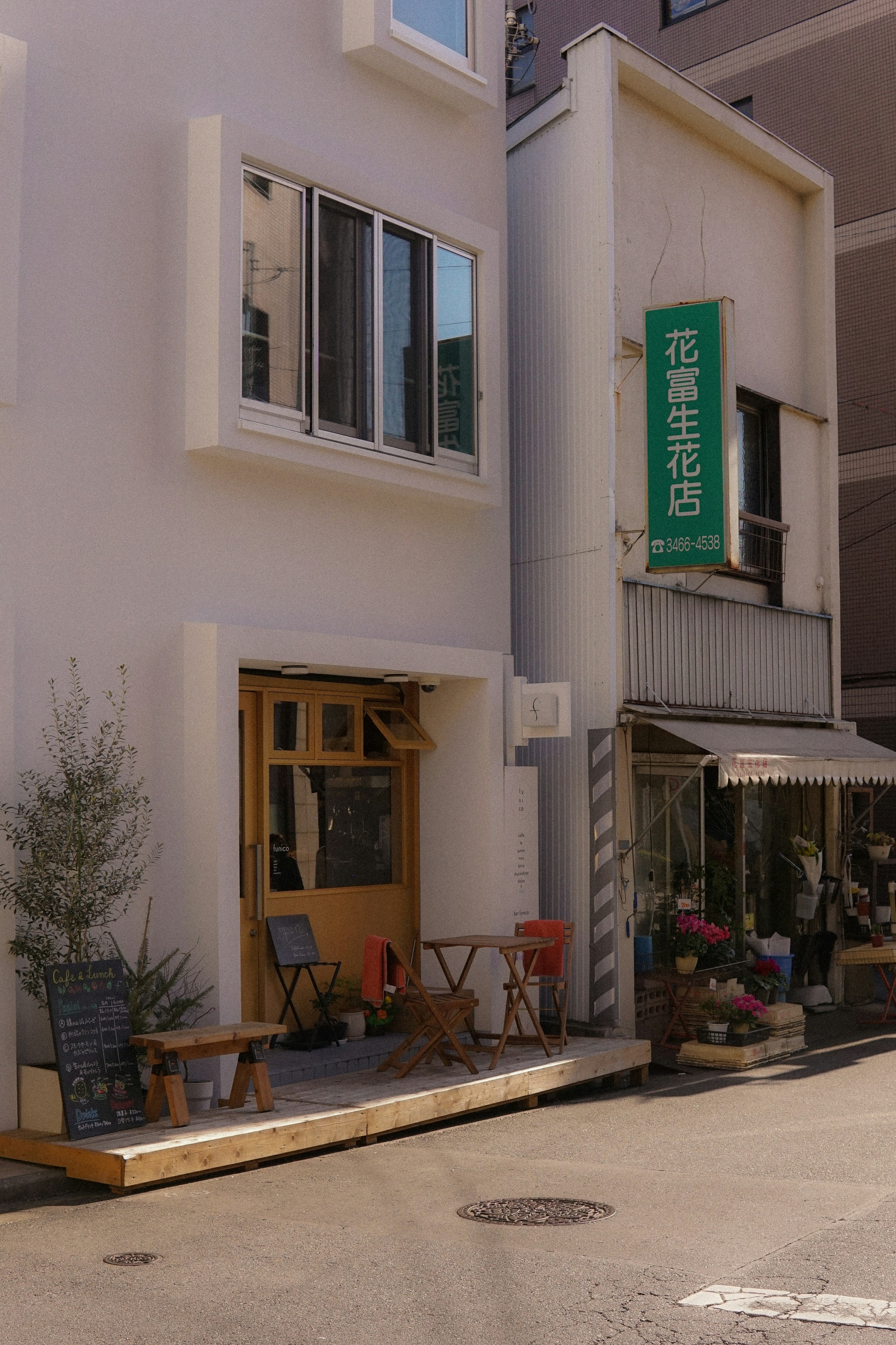 Sunlit storefront serenade: a quiet street corner with a green florist sign