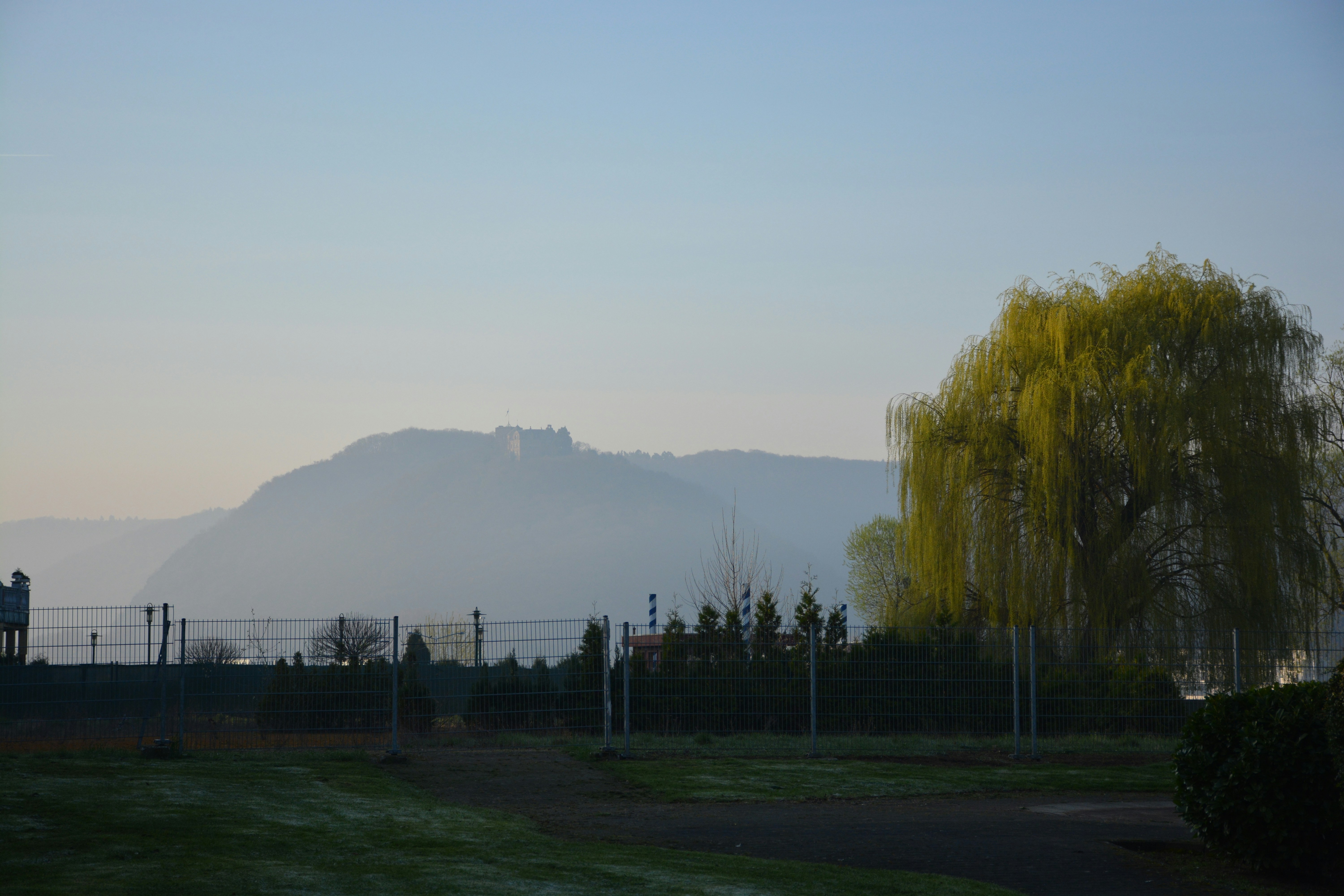 Dusk Over the Park: Silhouette of a Fence and Willow