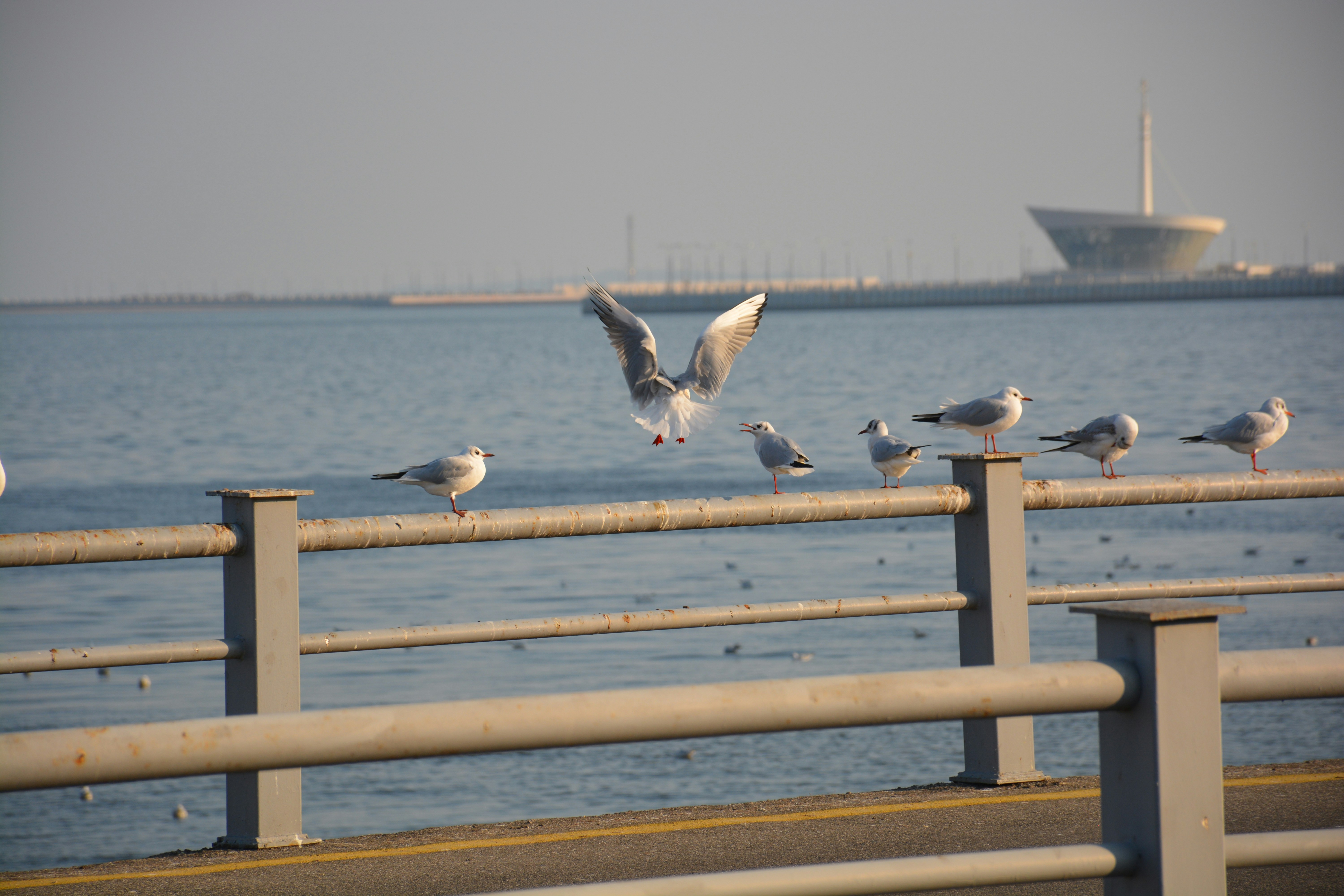 Photo by Leyla M with Nikon D5200