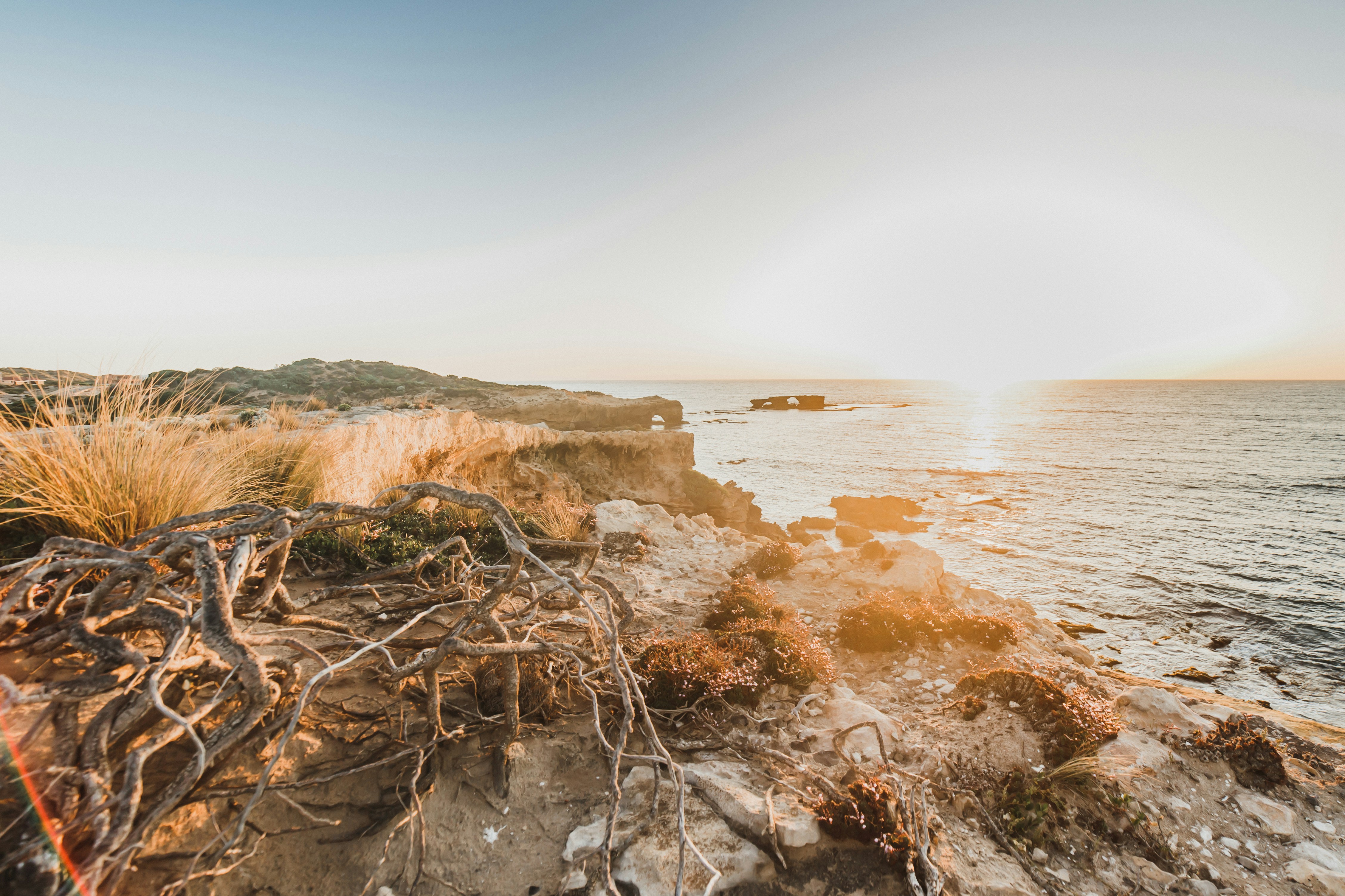 Edge of Light: Driftwood and Cliffs at Golden Hour