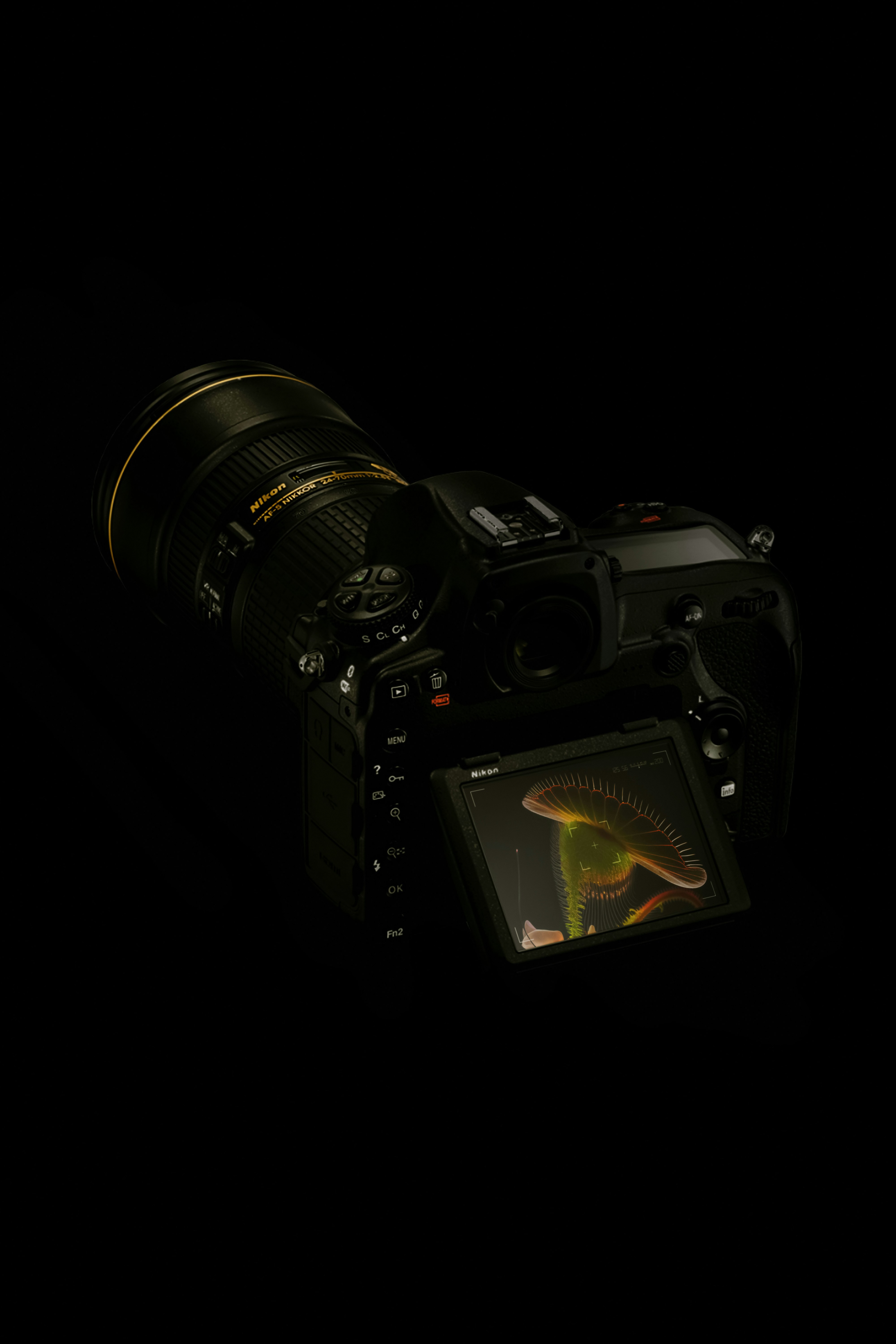 A digital camera with a picture of a lizard on the screen photo – Free ...