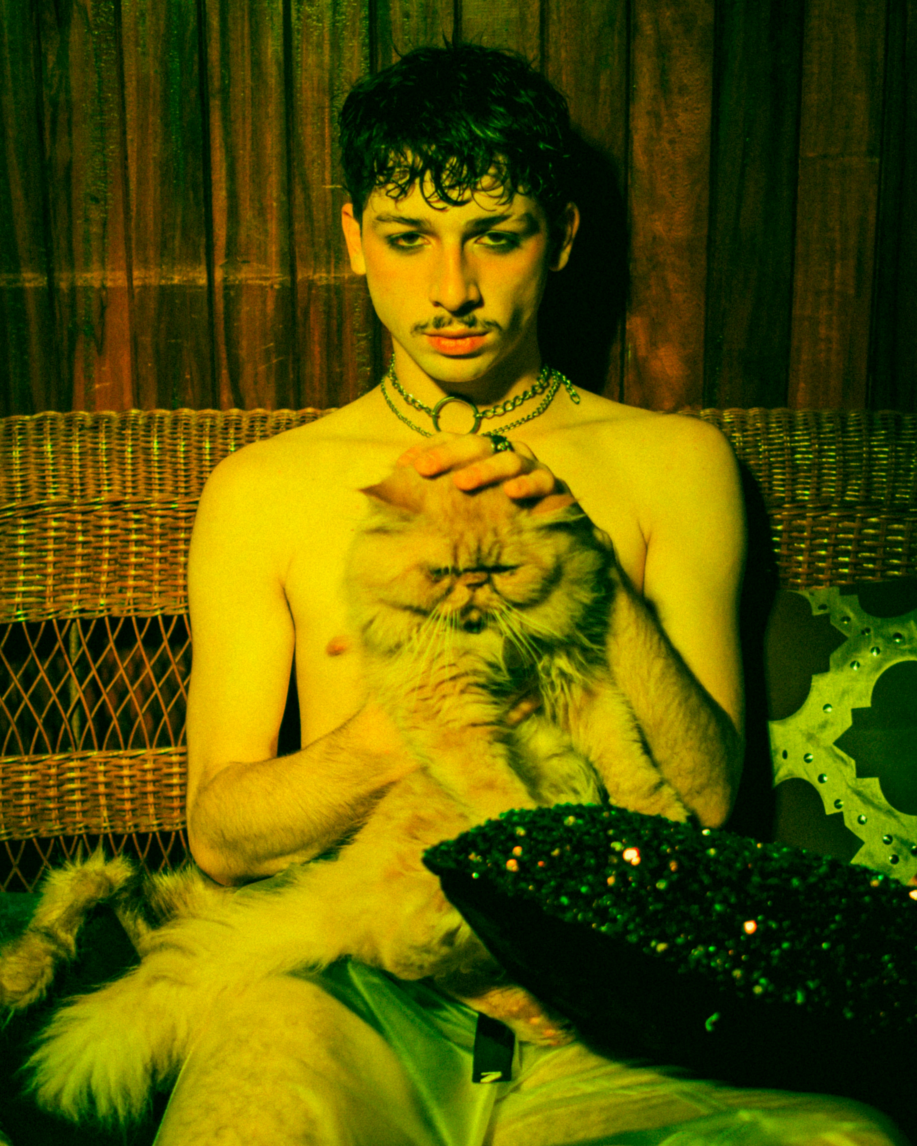 Middle-Eyed Gaze with a Velvet Cat