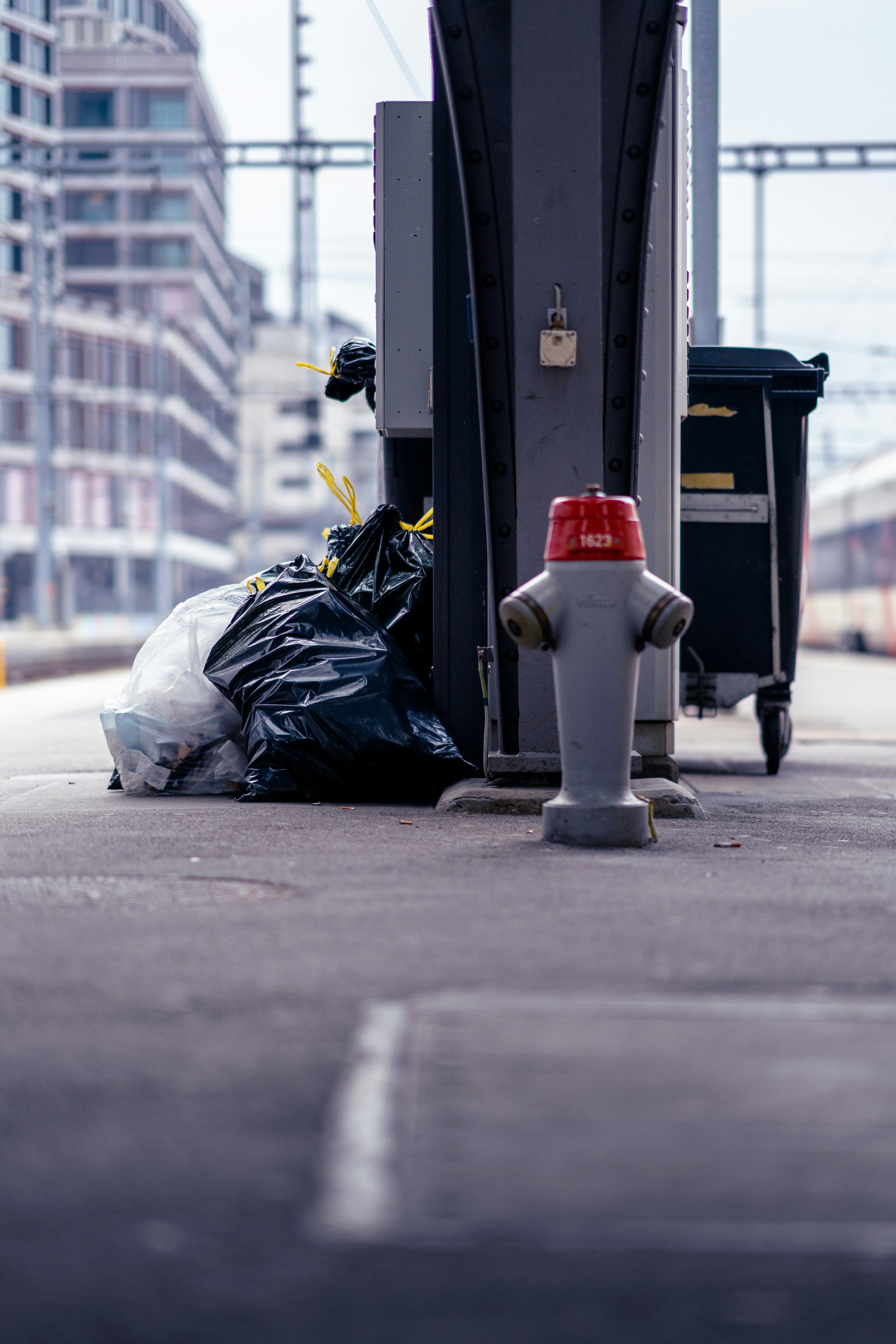 Photo by Lorin Both with Sony Alpha 7 III