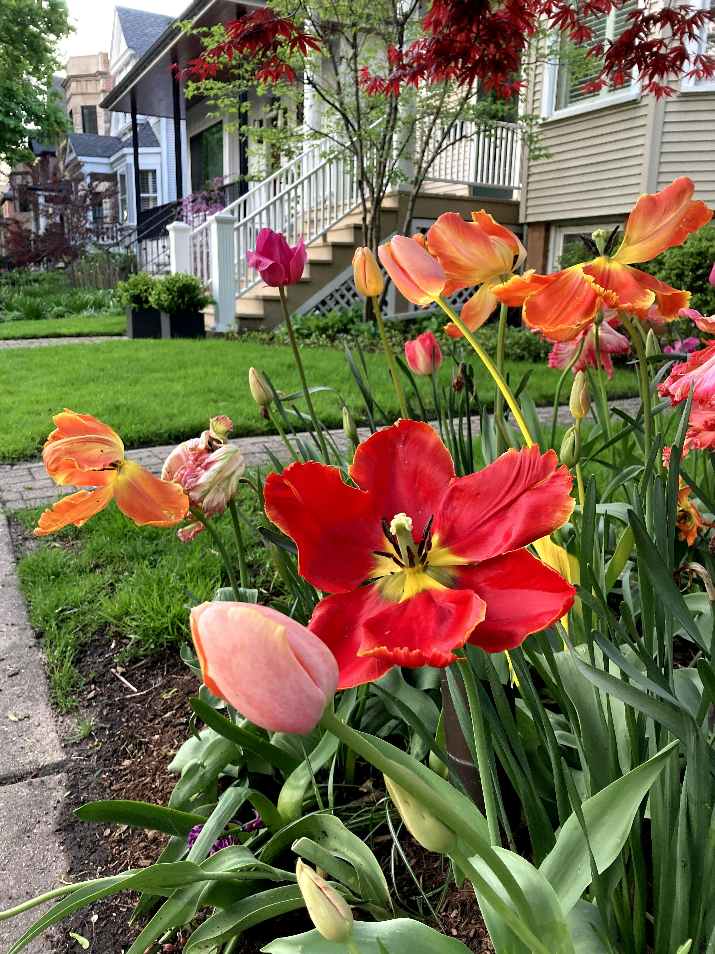 Foto Seikat bunga yang ada di rumput – Gambar Kebun Gratis di Unsplash
