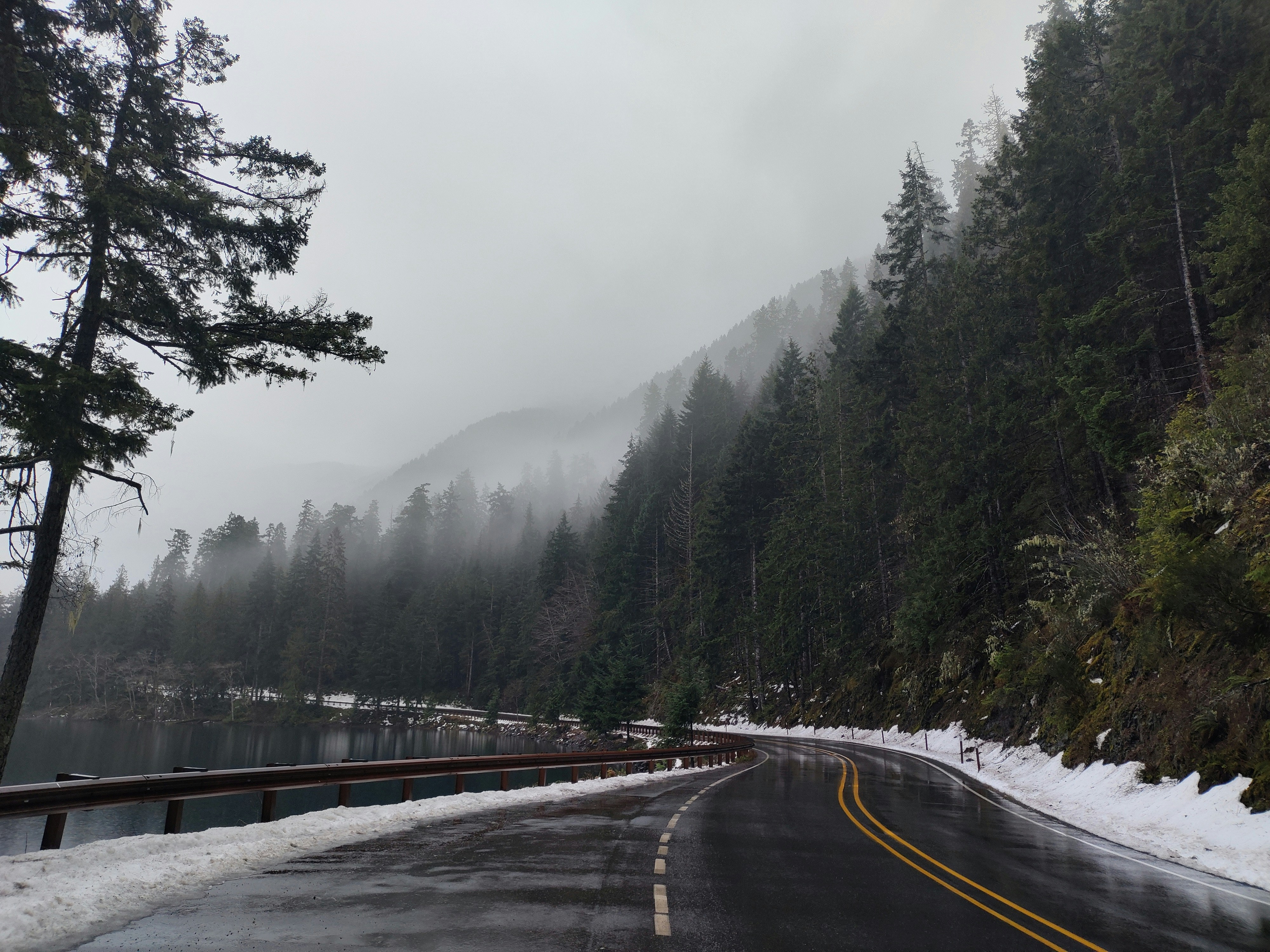 Mist-Wrapped Alpine Road Through Snow-Dusted Pines