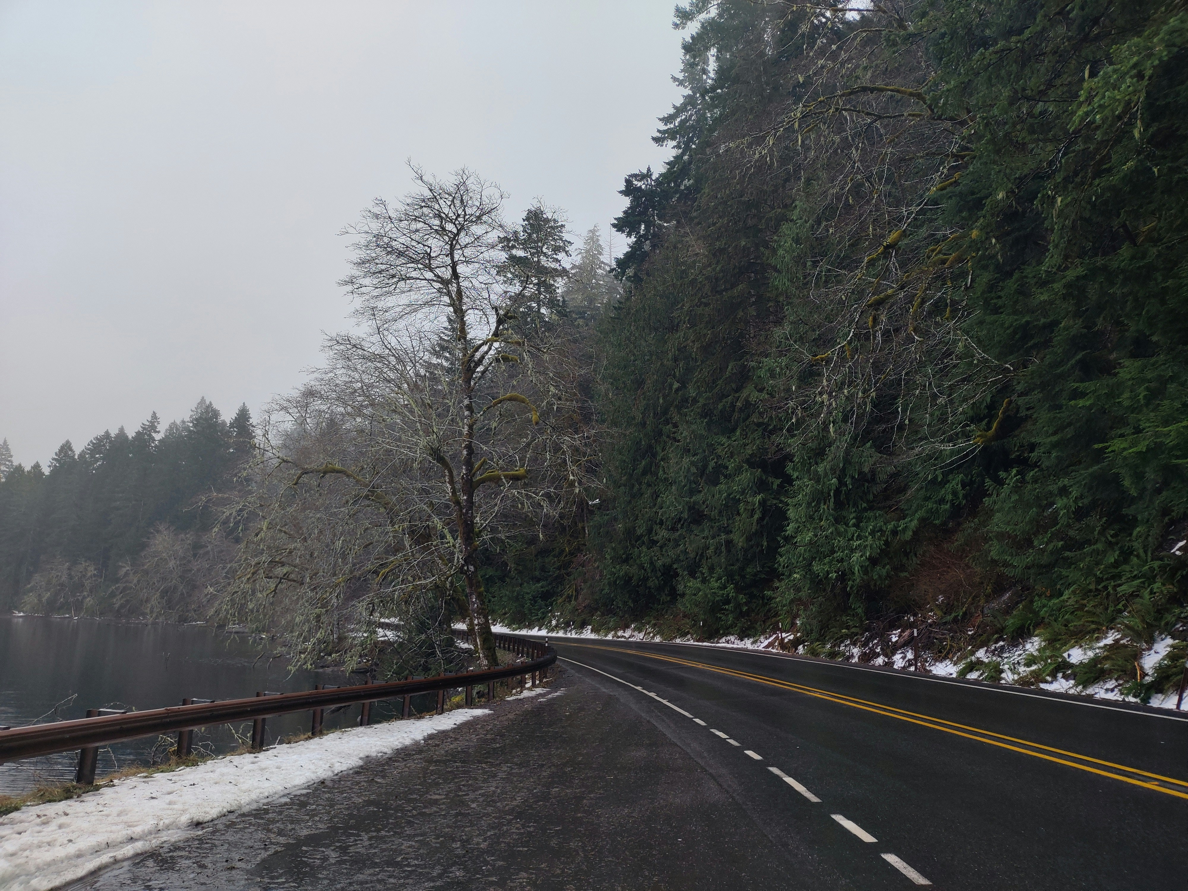 A snow-dusted road winds along a calm lake, flanked by tall evergreen trees beneath an overcast sky.