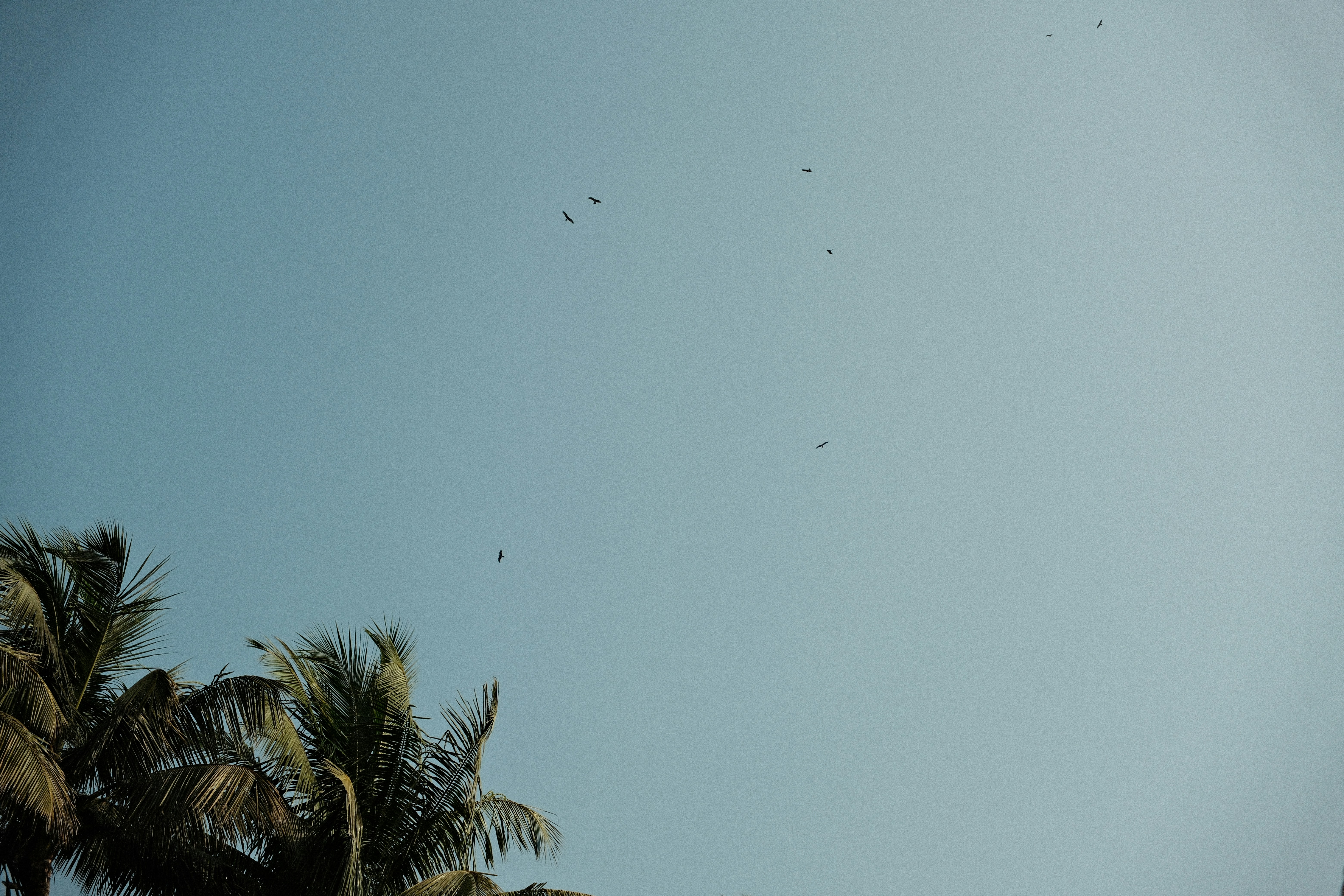 Photo by Mikhail Nikitin with Fujifilm X-H2S