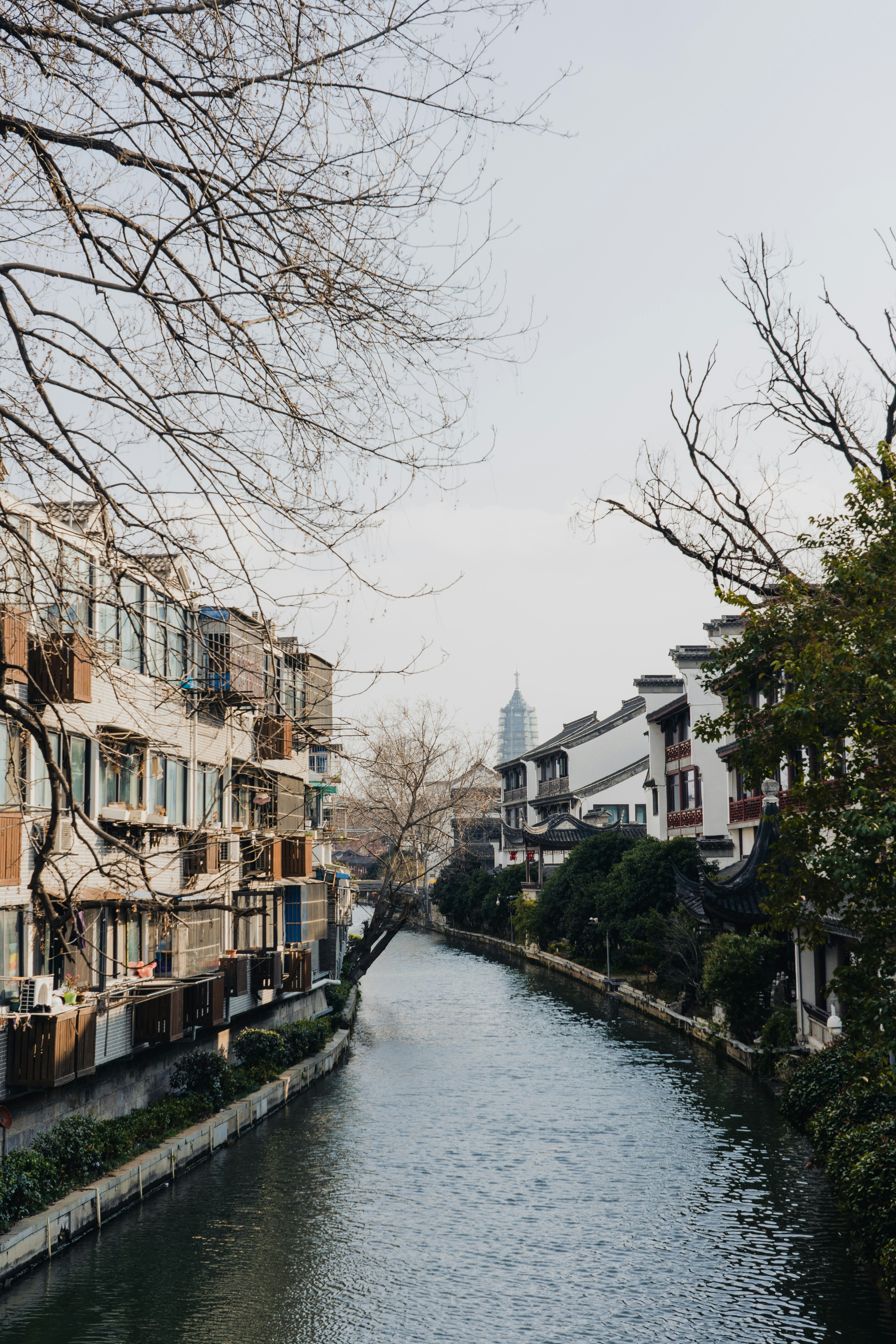 Between Eaves and Water: A Quiet Canal Framing Modern Towers and Timeless Pavilions
