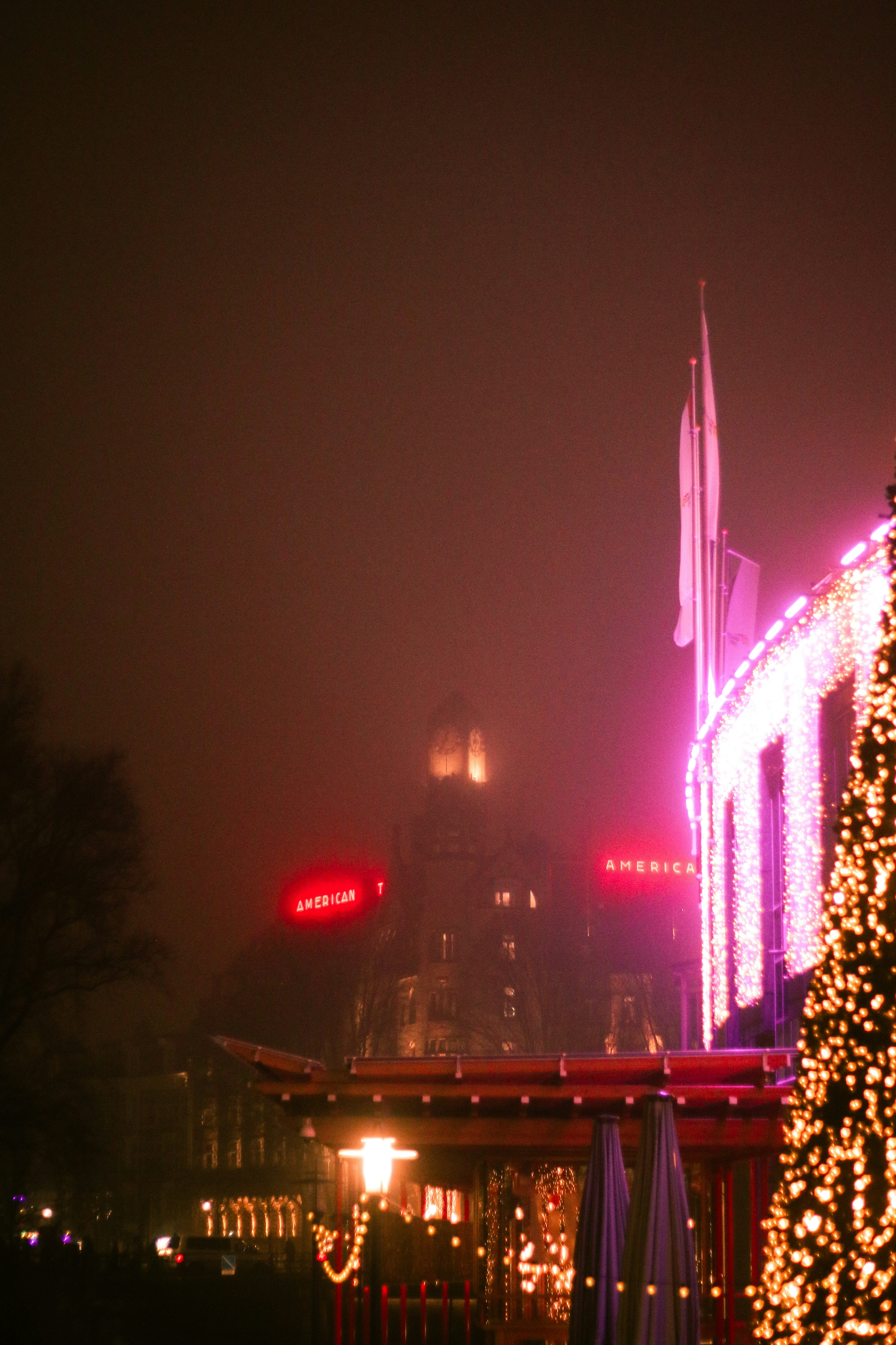 Neon Night at the City Hall: A Frosted Glow by the Festive Lights