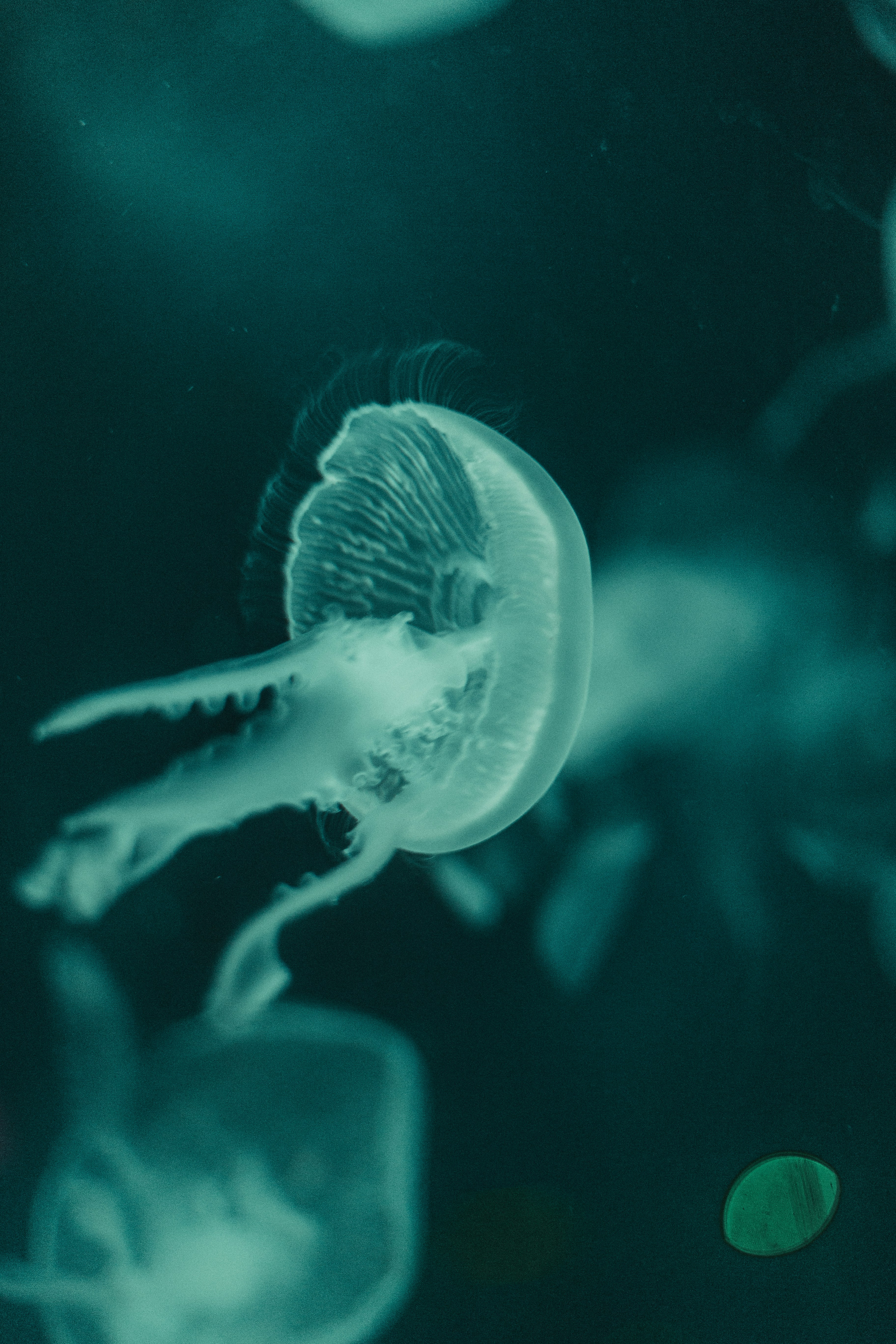 Photo by Chris Wong with Canon EOS 6D