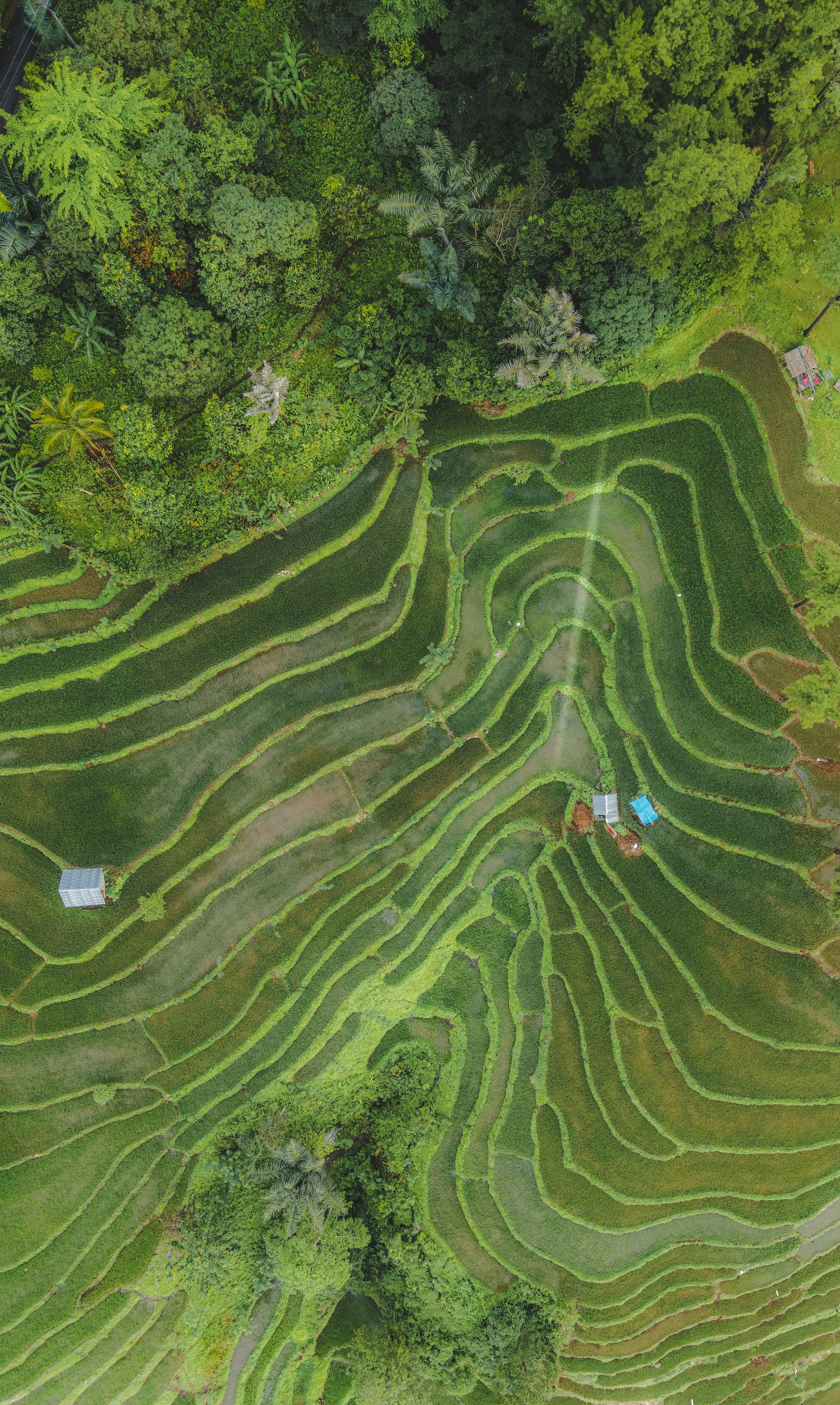 Ditch vs. Swale - What's the Difference? | This vs. That