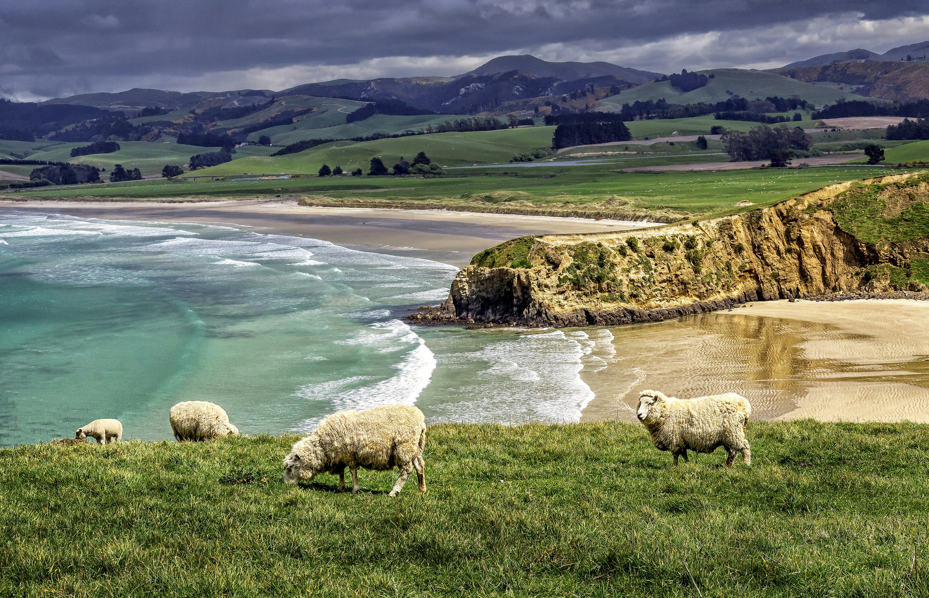 Photo by Sterling Lanier with Canon EOS 70D