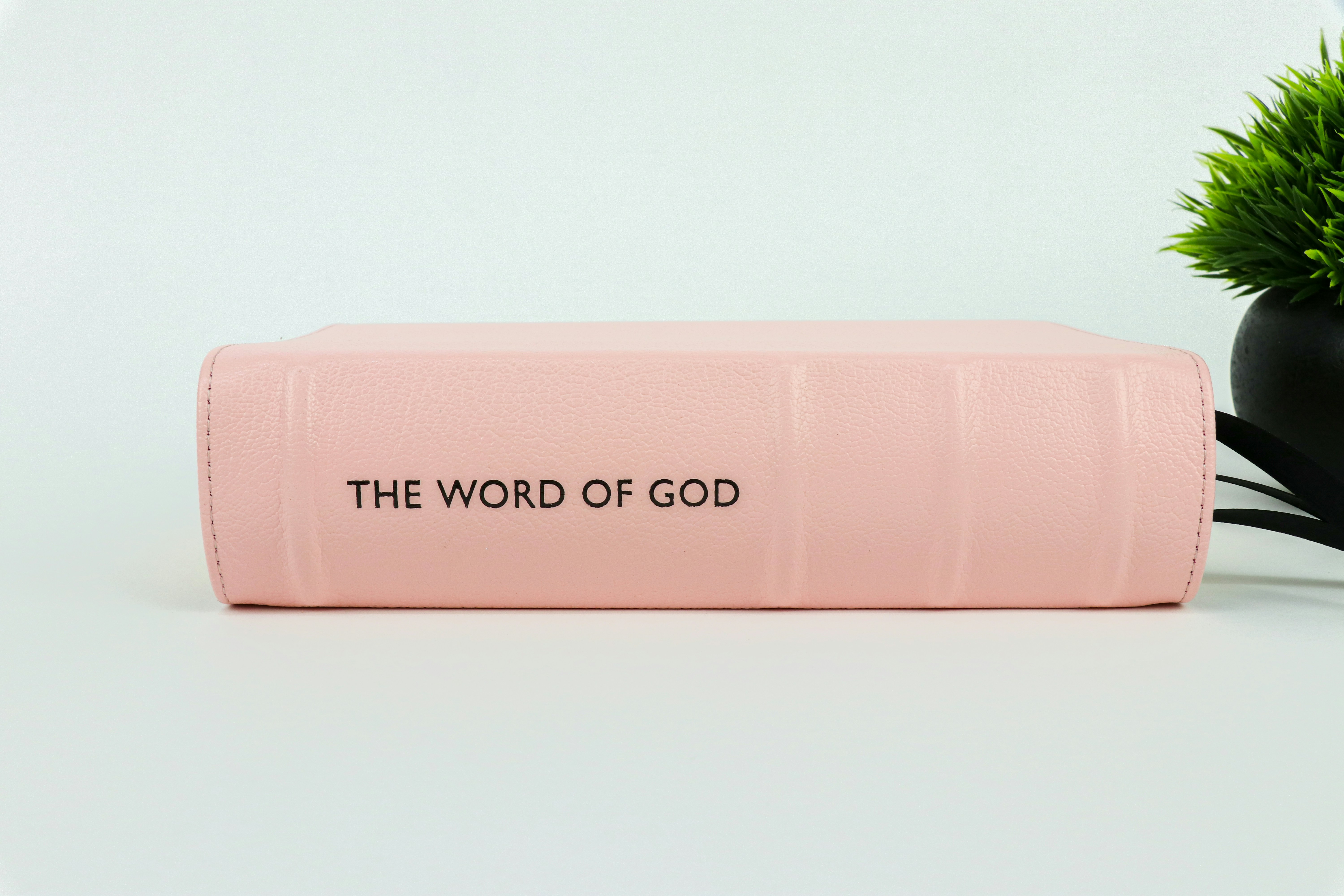 Soft Pink Elegance: The Word of God in Minimalist Form