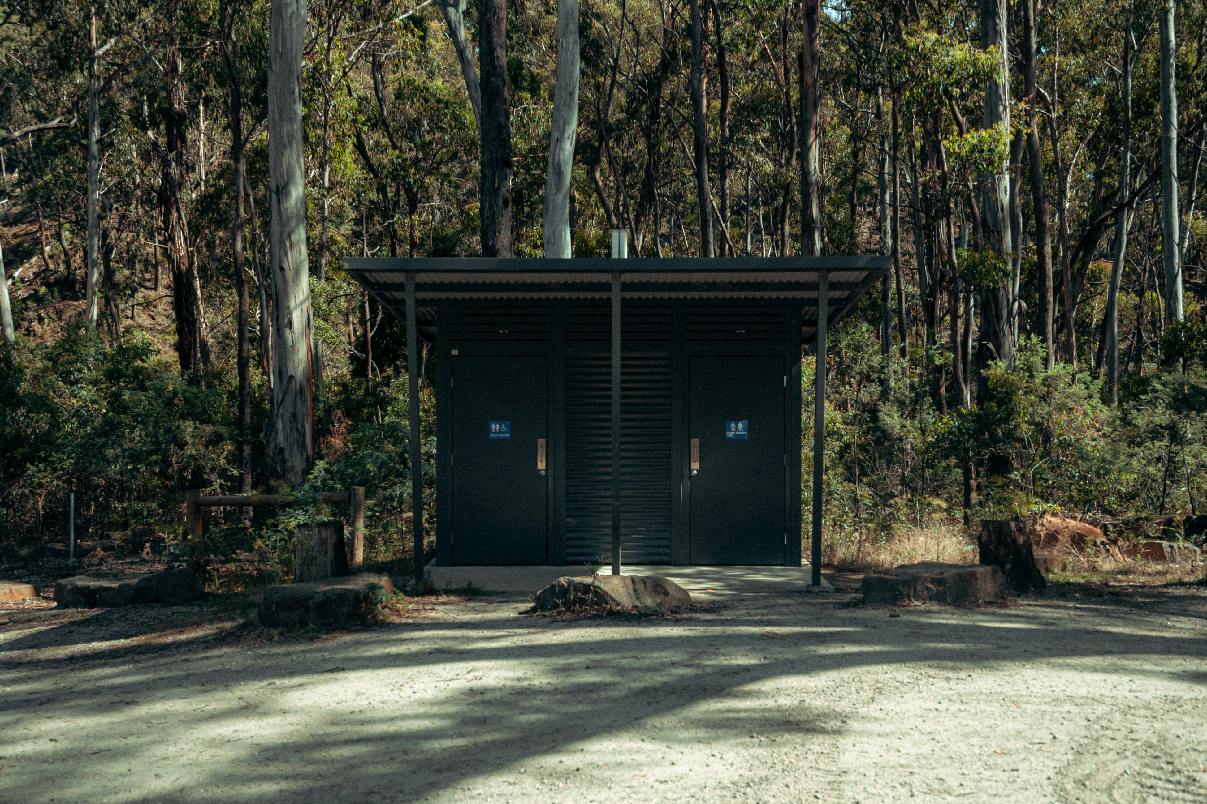 Dual Doors in the Pines: A Quiet Forest Utility Shelter Framed by Light and Shadow