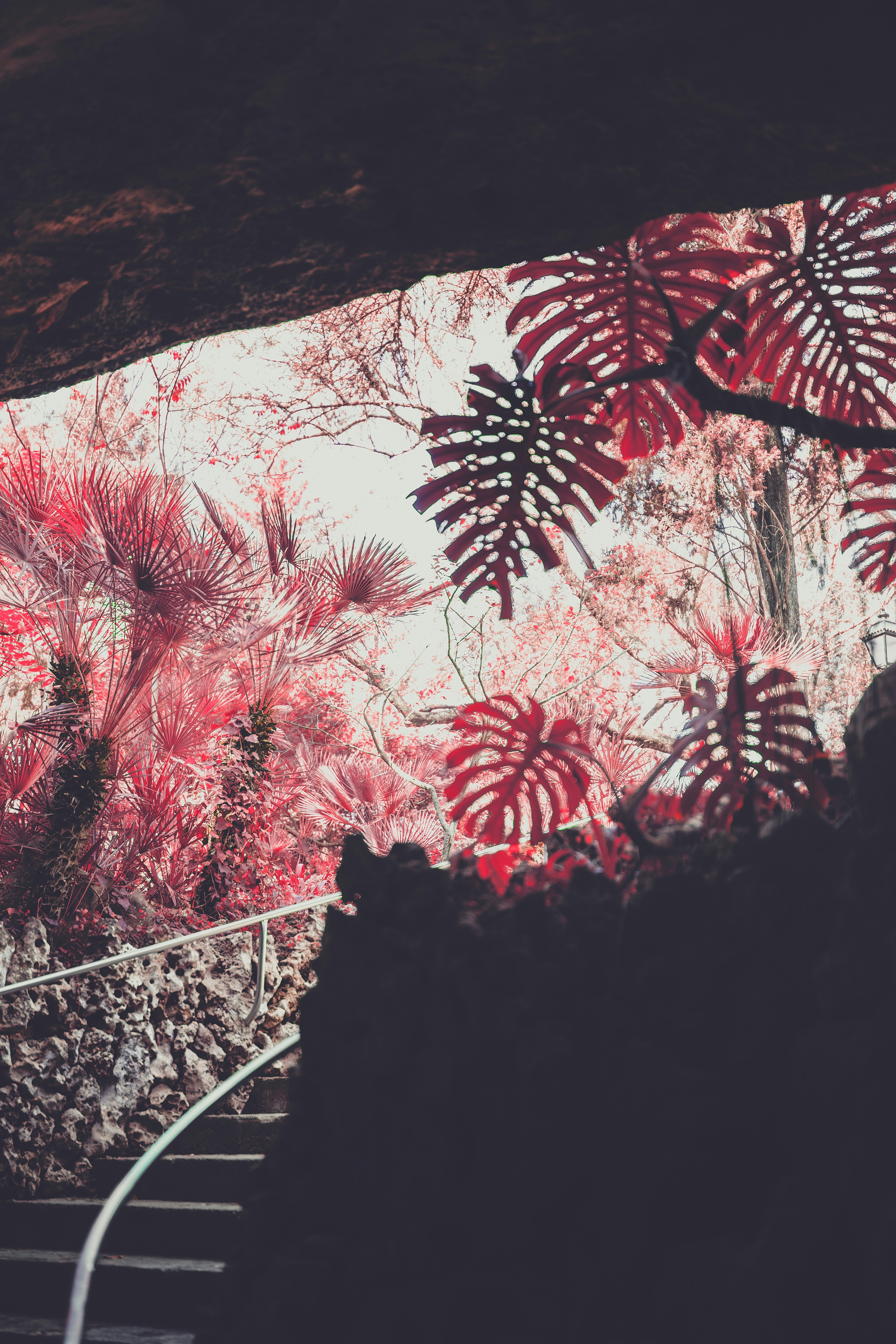 a view of a staircase through a cave