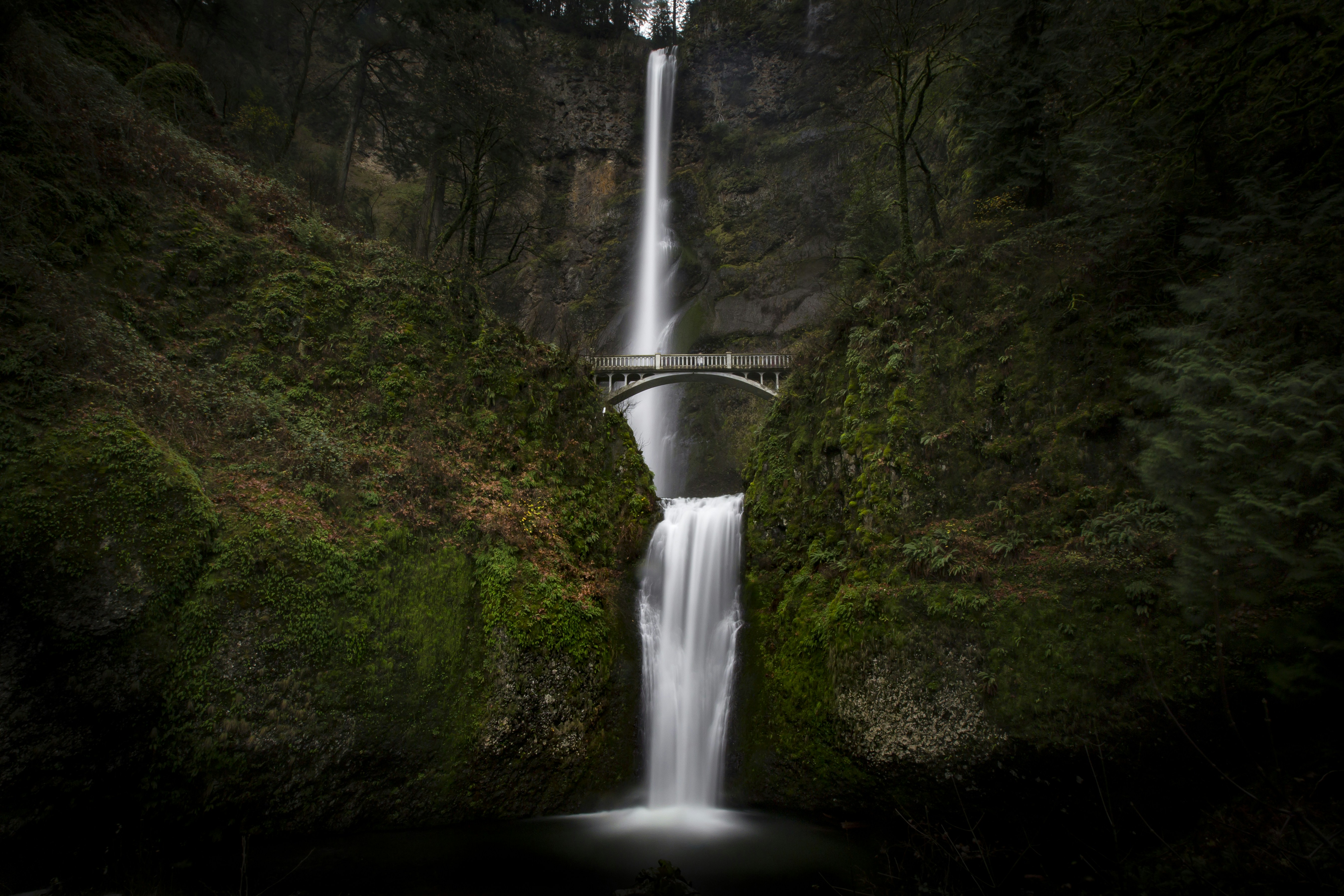 The Silent Bridge: A Two-Tier Cascade in a Mossy Gorge
