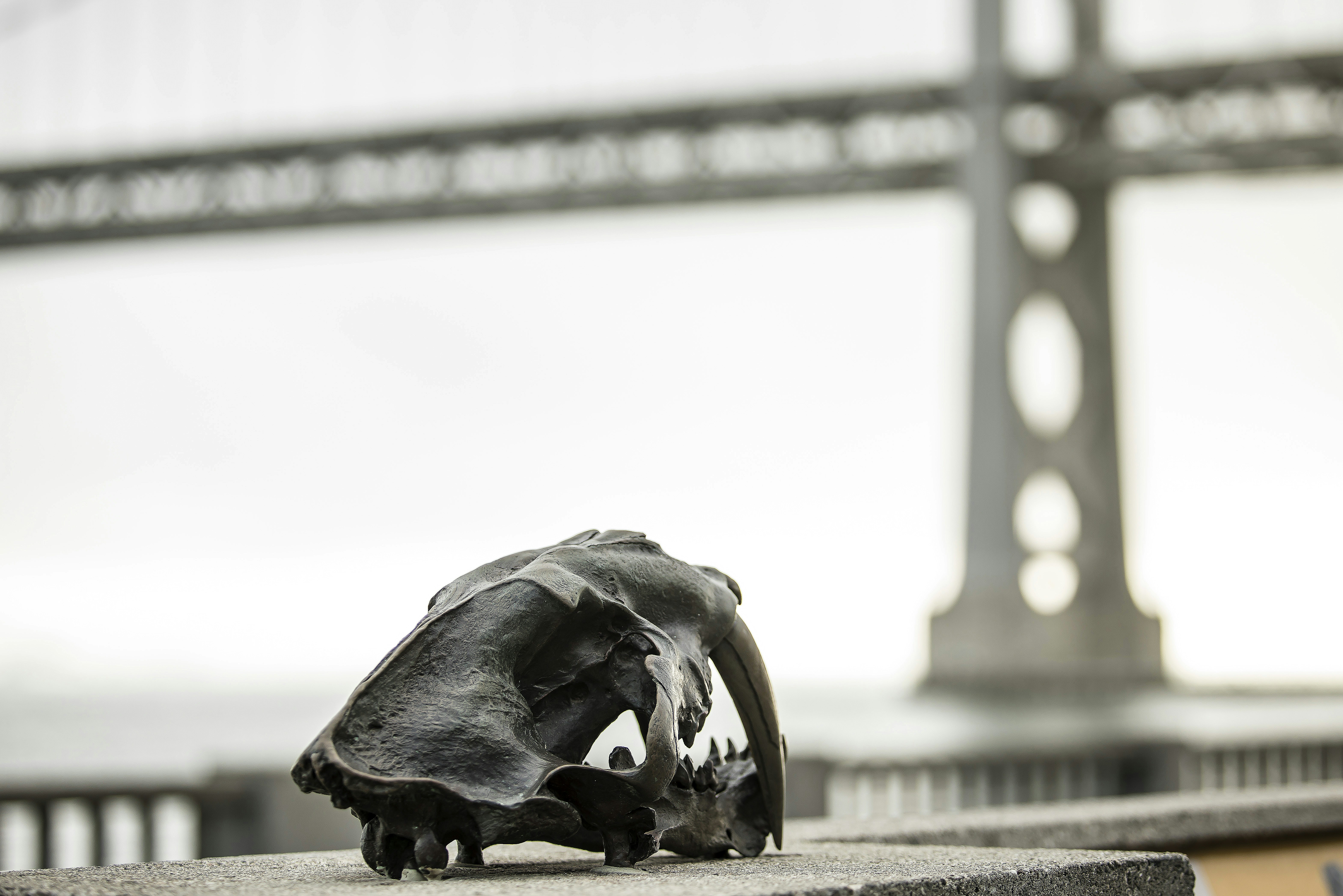 Photo by Leo_Visions with Canon EOS 5D Mark IV