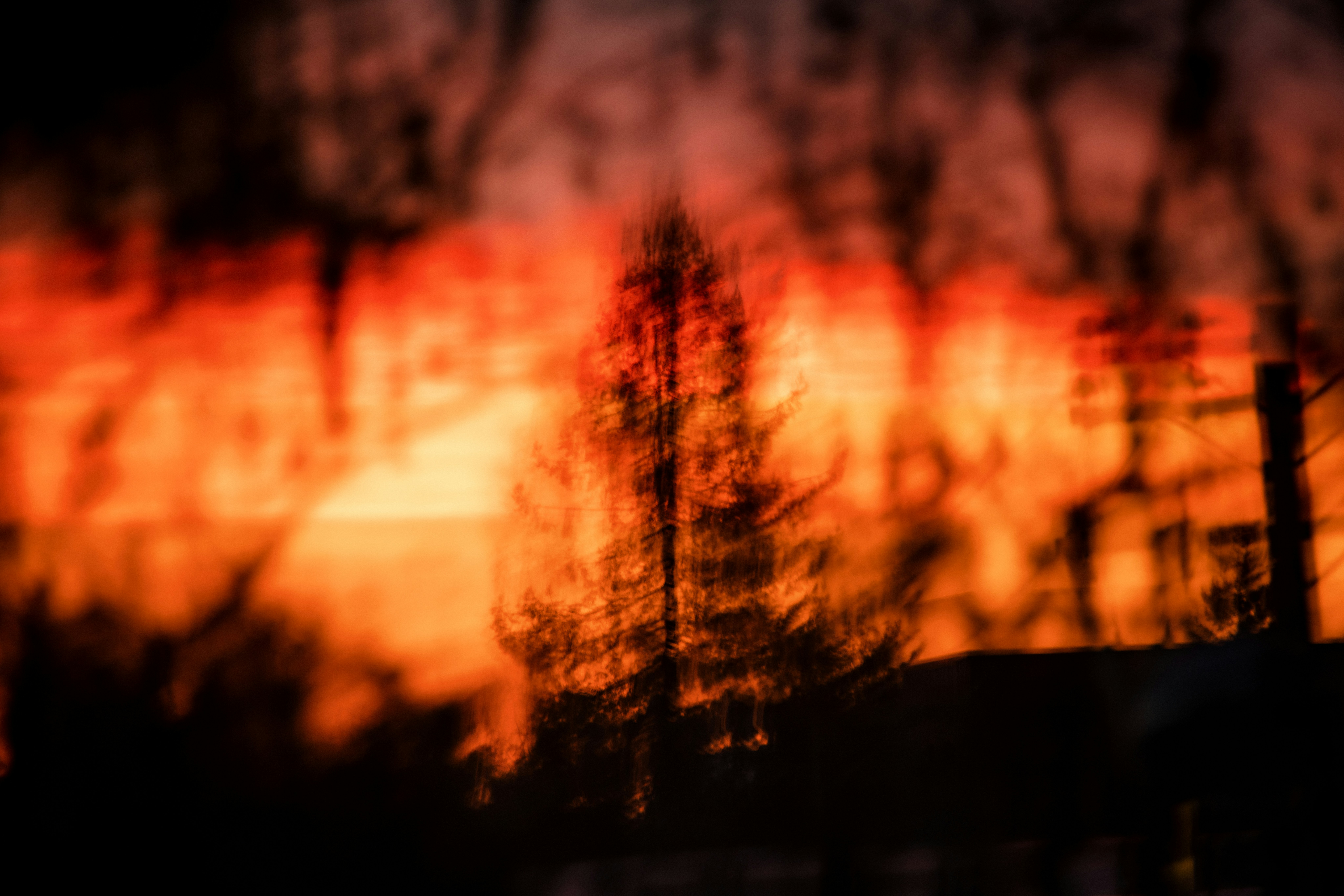 a blurry picture of a sunset with trees in the foreground photo – Free ...