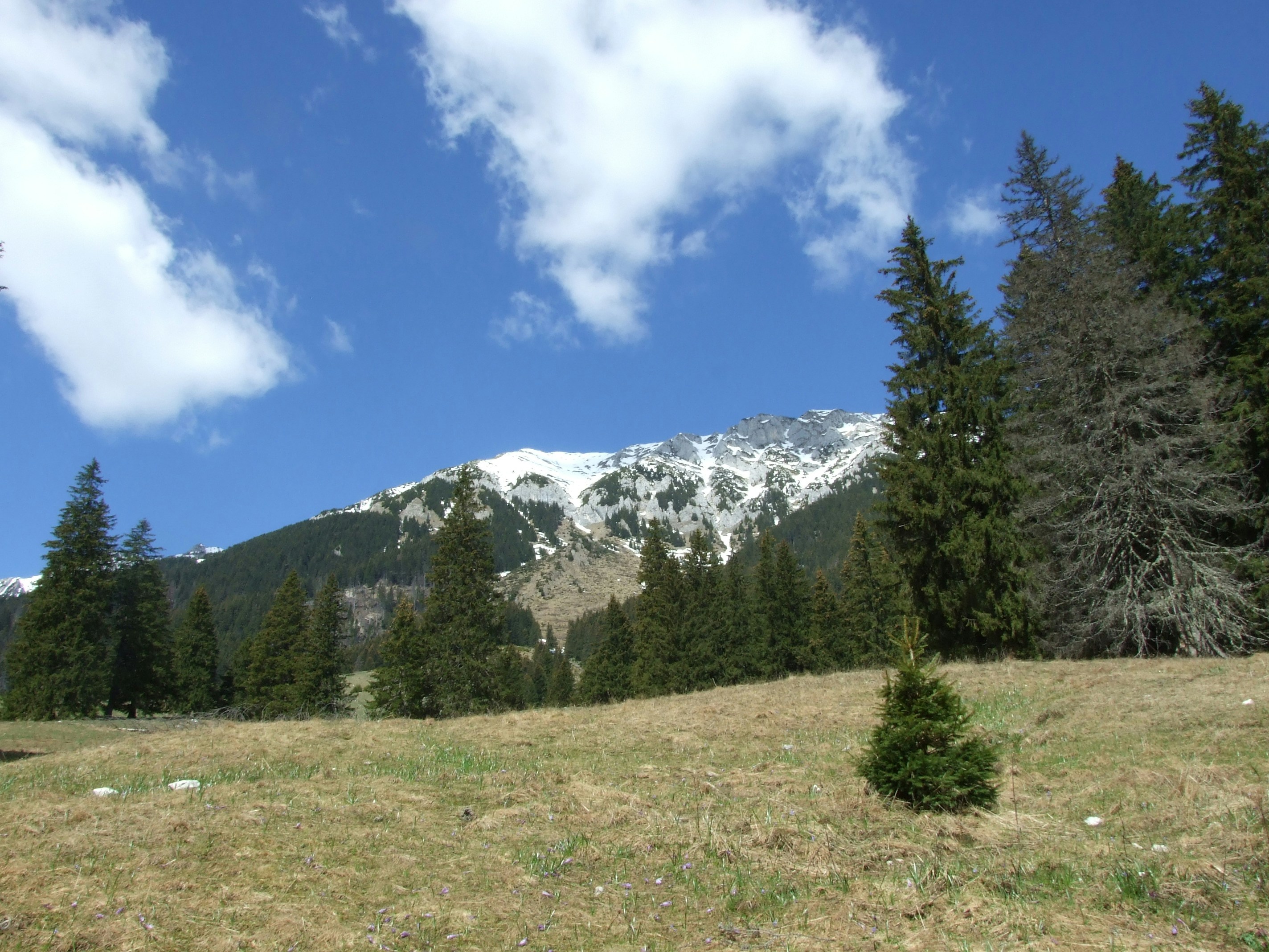 Photo by Theo Lonic with Fujifilm FinePix S6500 FD